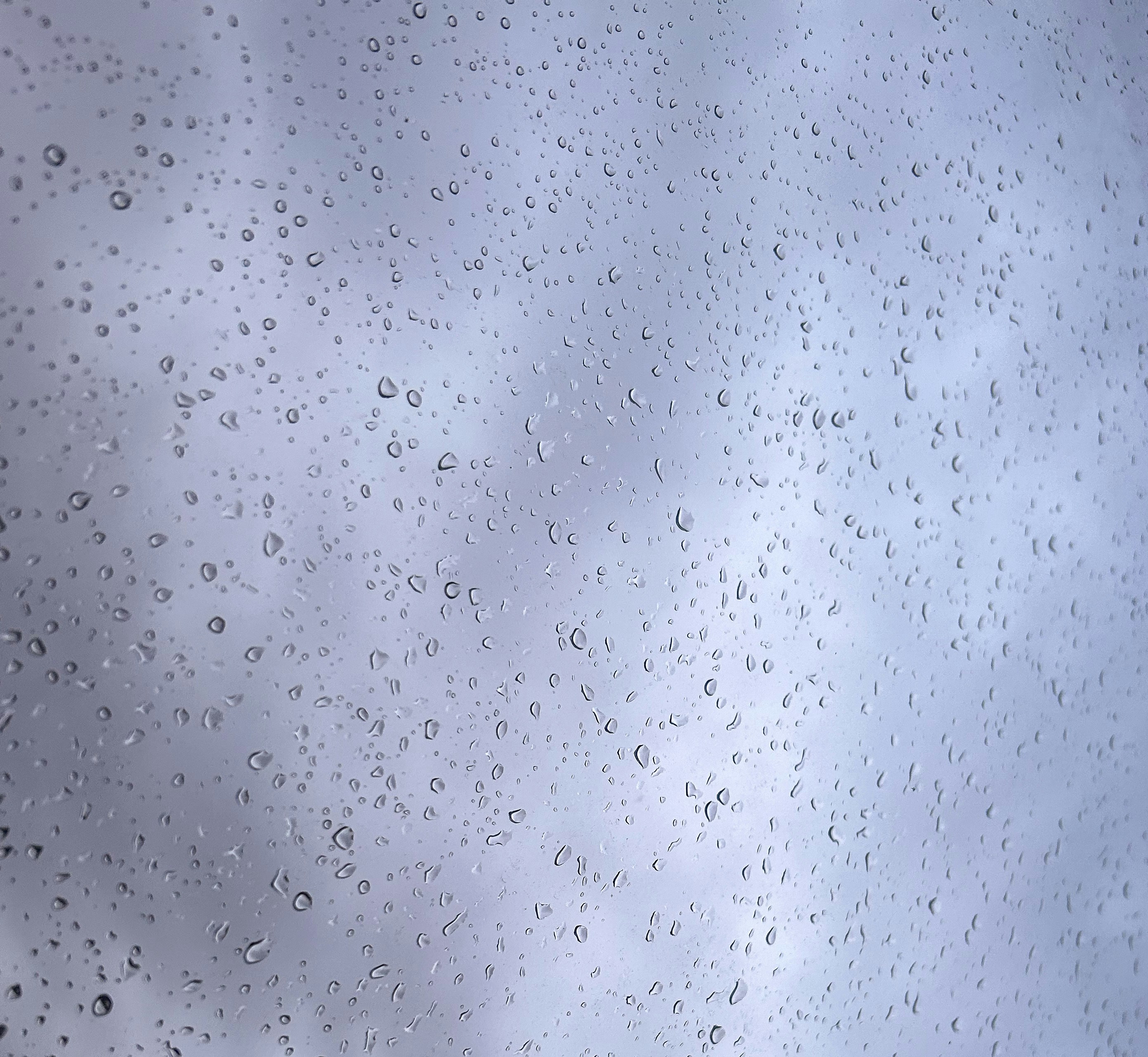 Photo by Sophie Popplewell with Apple iPhone 14