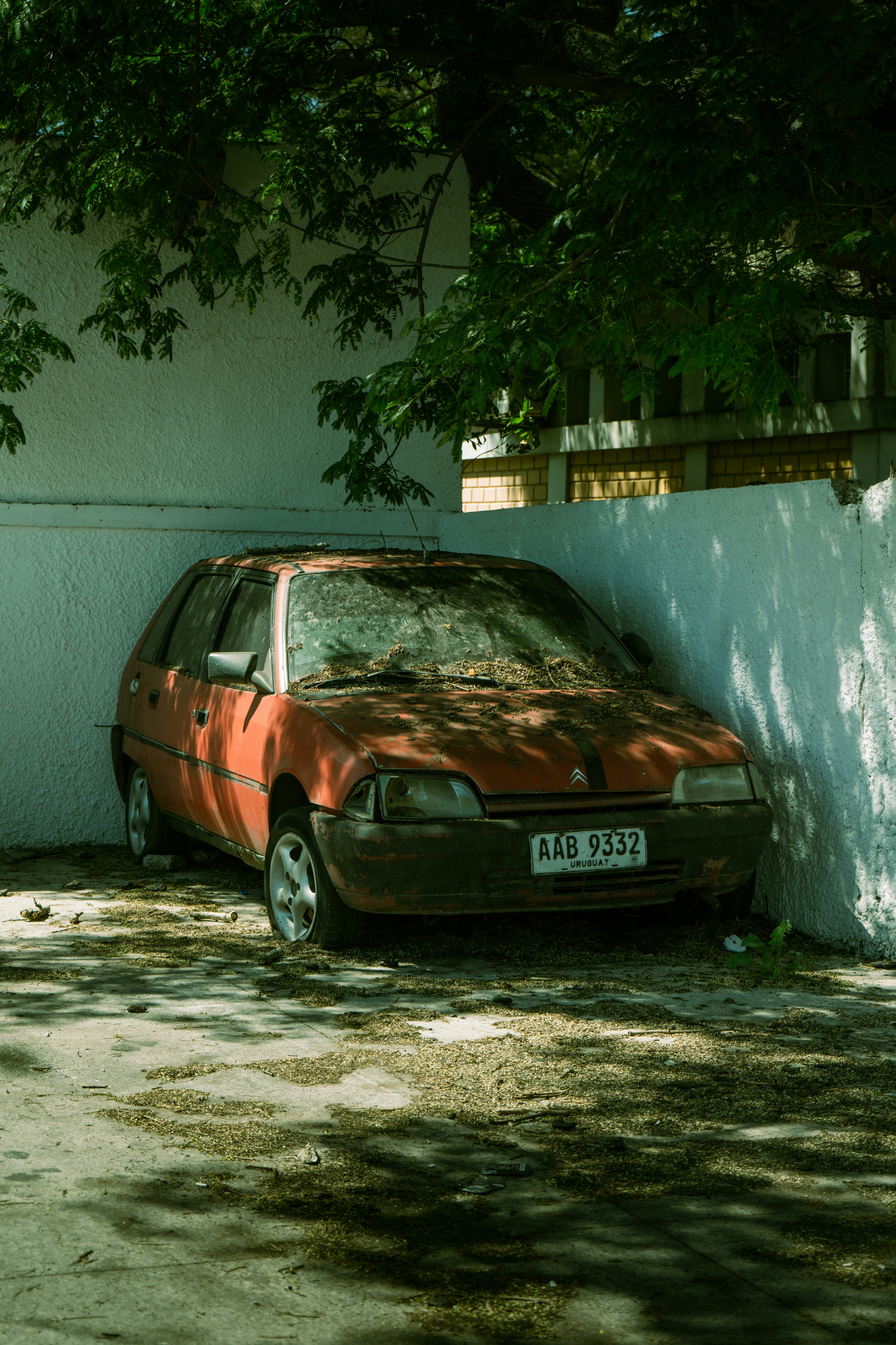 Orange Citroën in a Dusty Shade Under a Tree Canopy