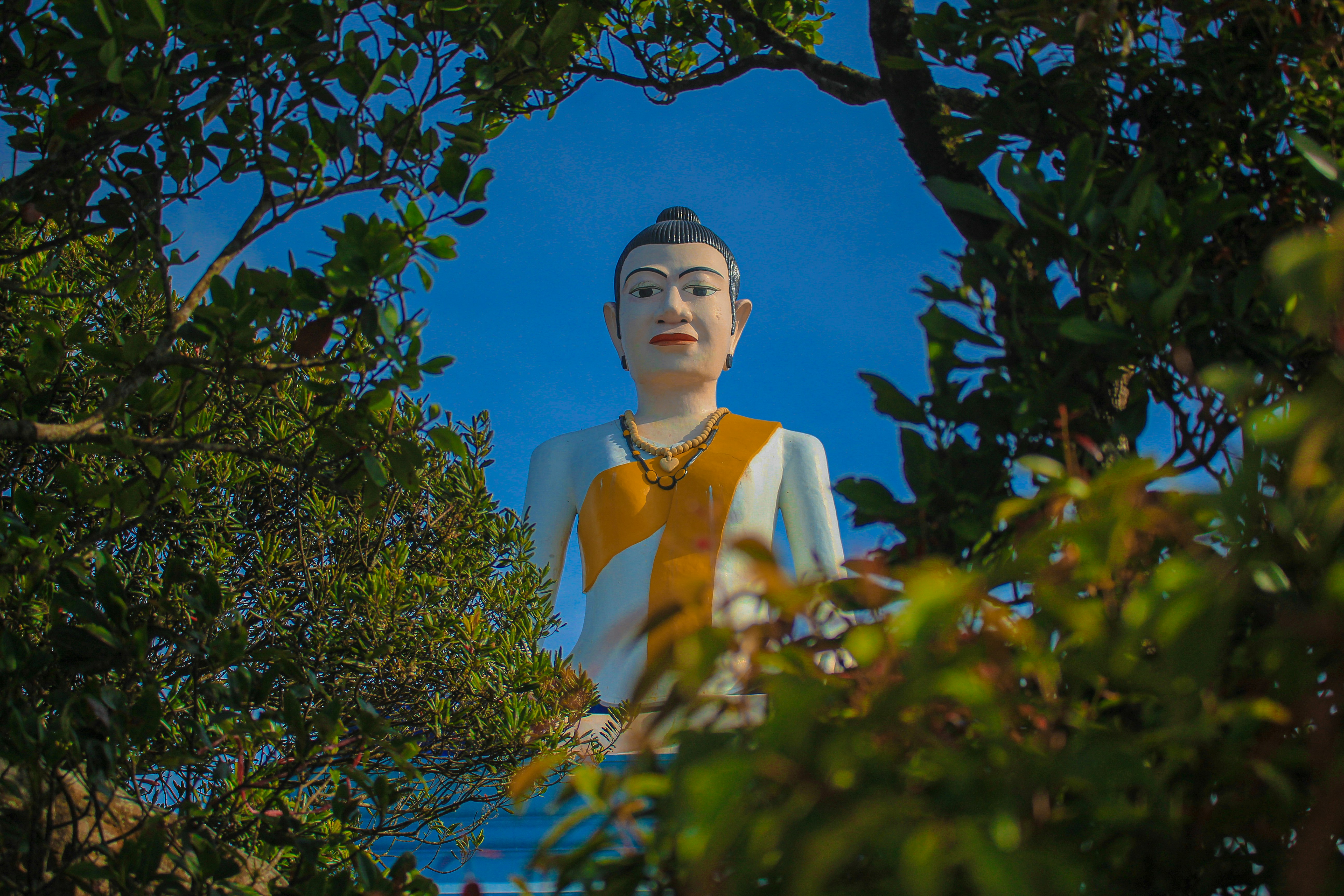 Cerulean Sky and Silent Guardian: Buddha Framed by Foliage