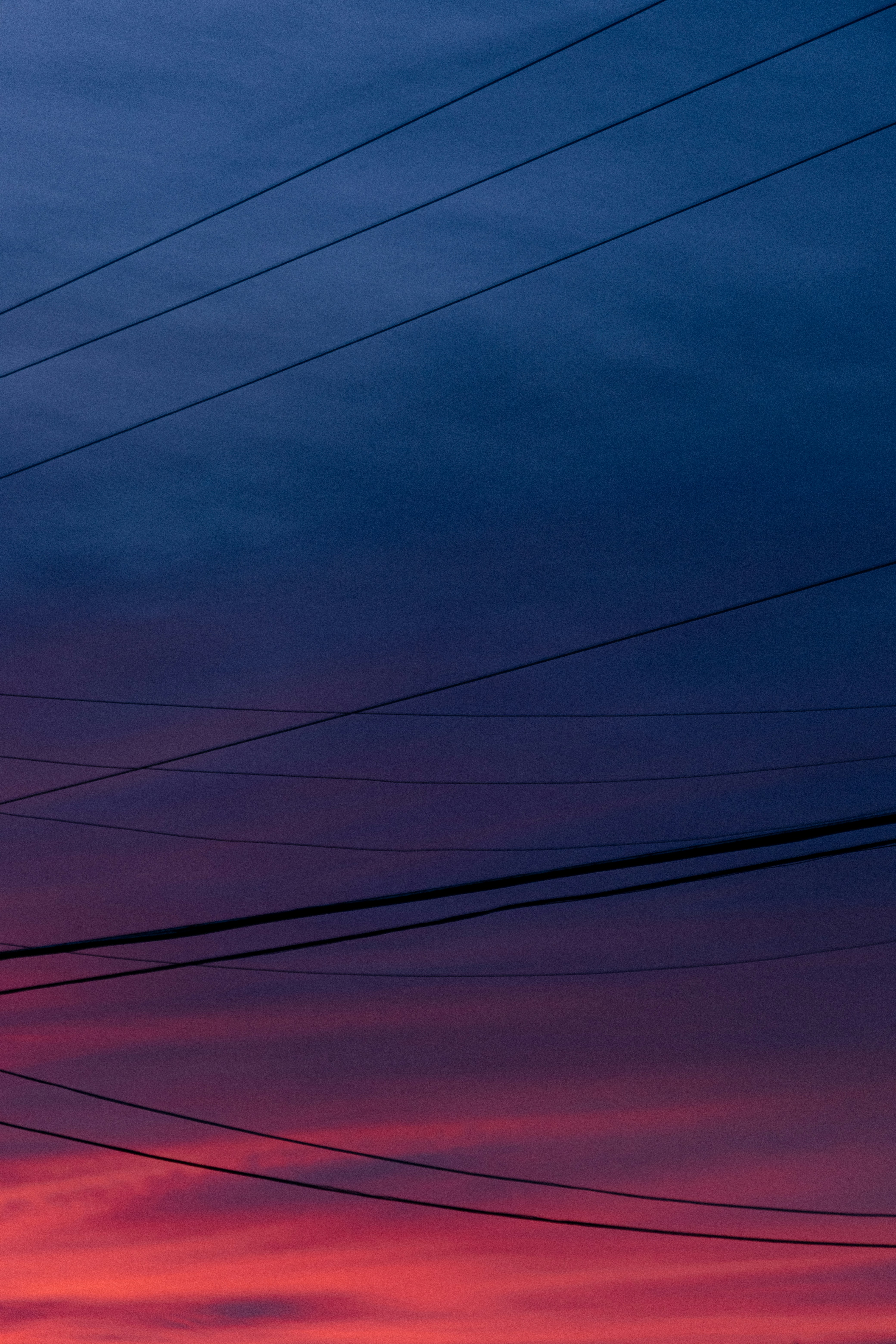 Photo by Elijah Pilchard with Canon EOS RP