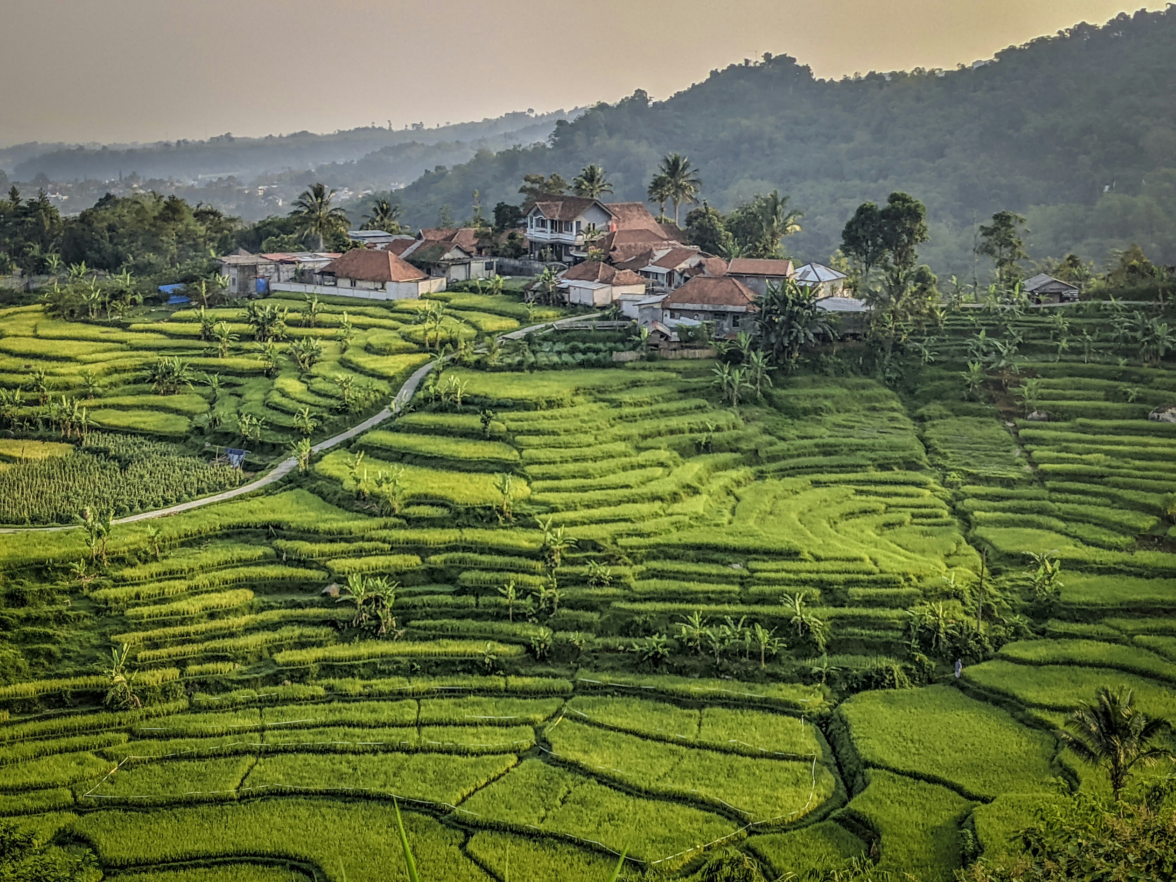 Photo by Ache Dipro with Google Pixel 4a