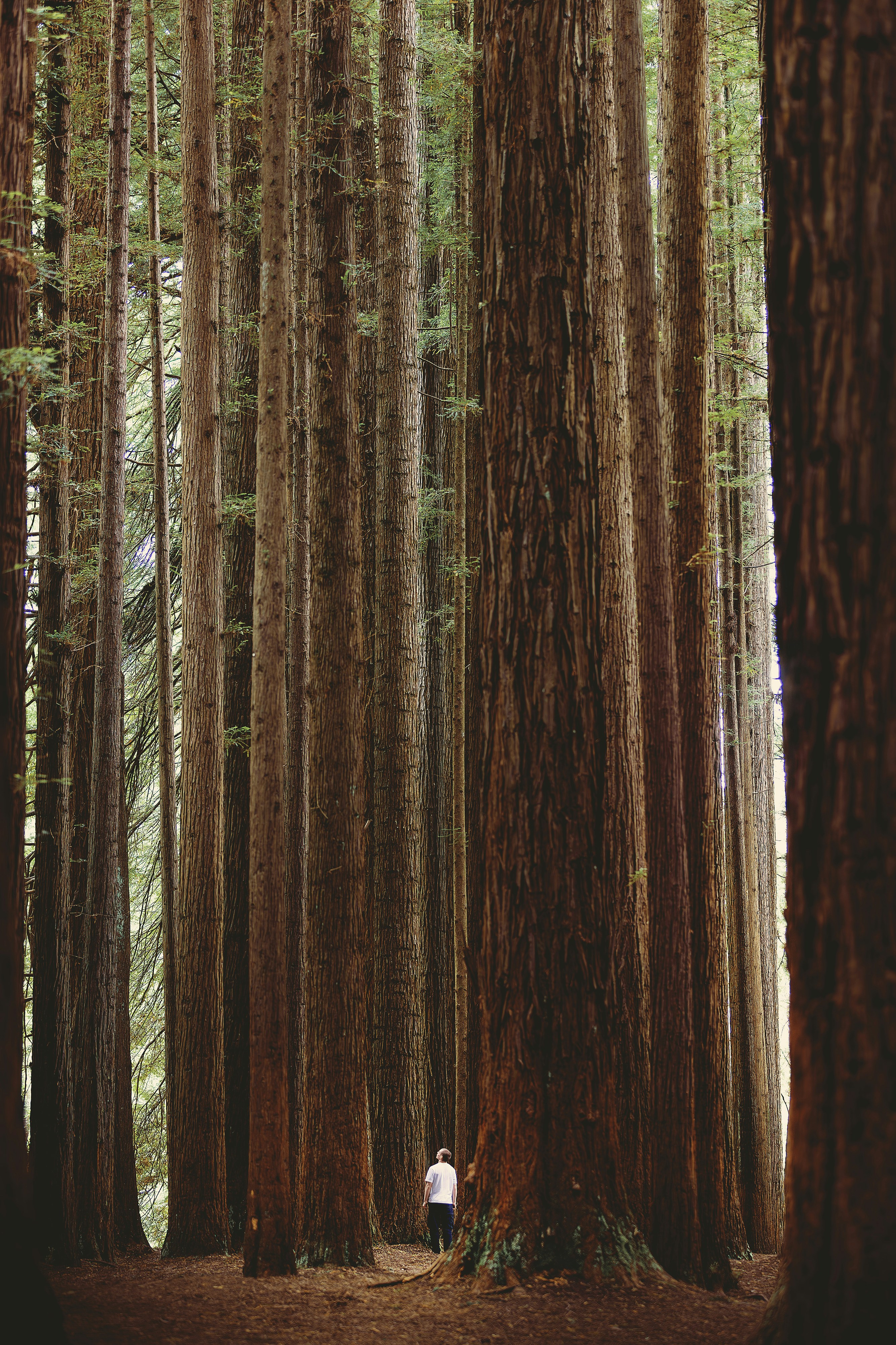 Photo by Joshua Earle with Canon EOS R5