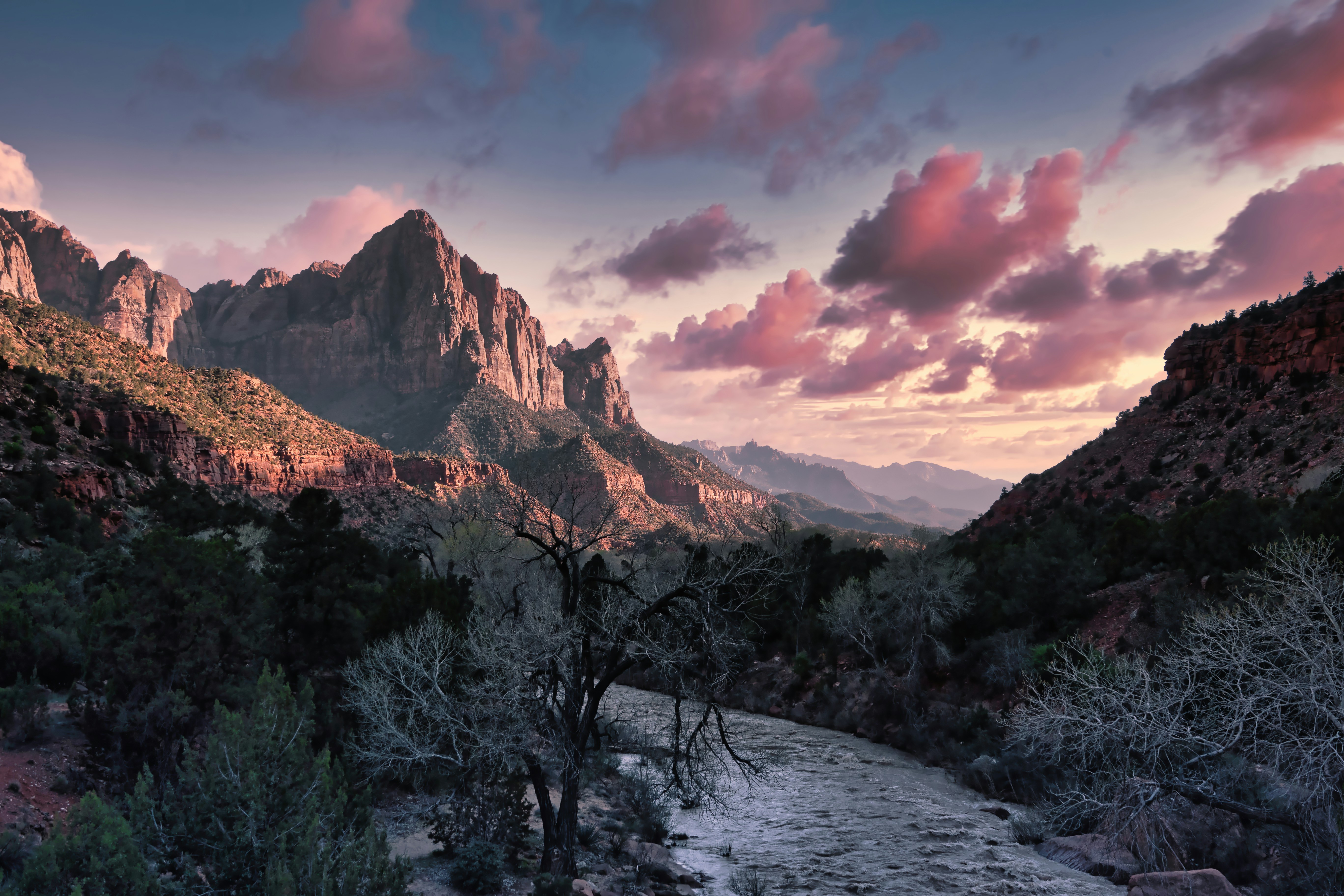 Virgin River in Zion National Park with the Watchman in the background. | a river running through a lush green forest