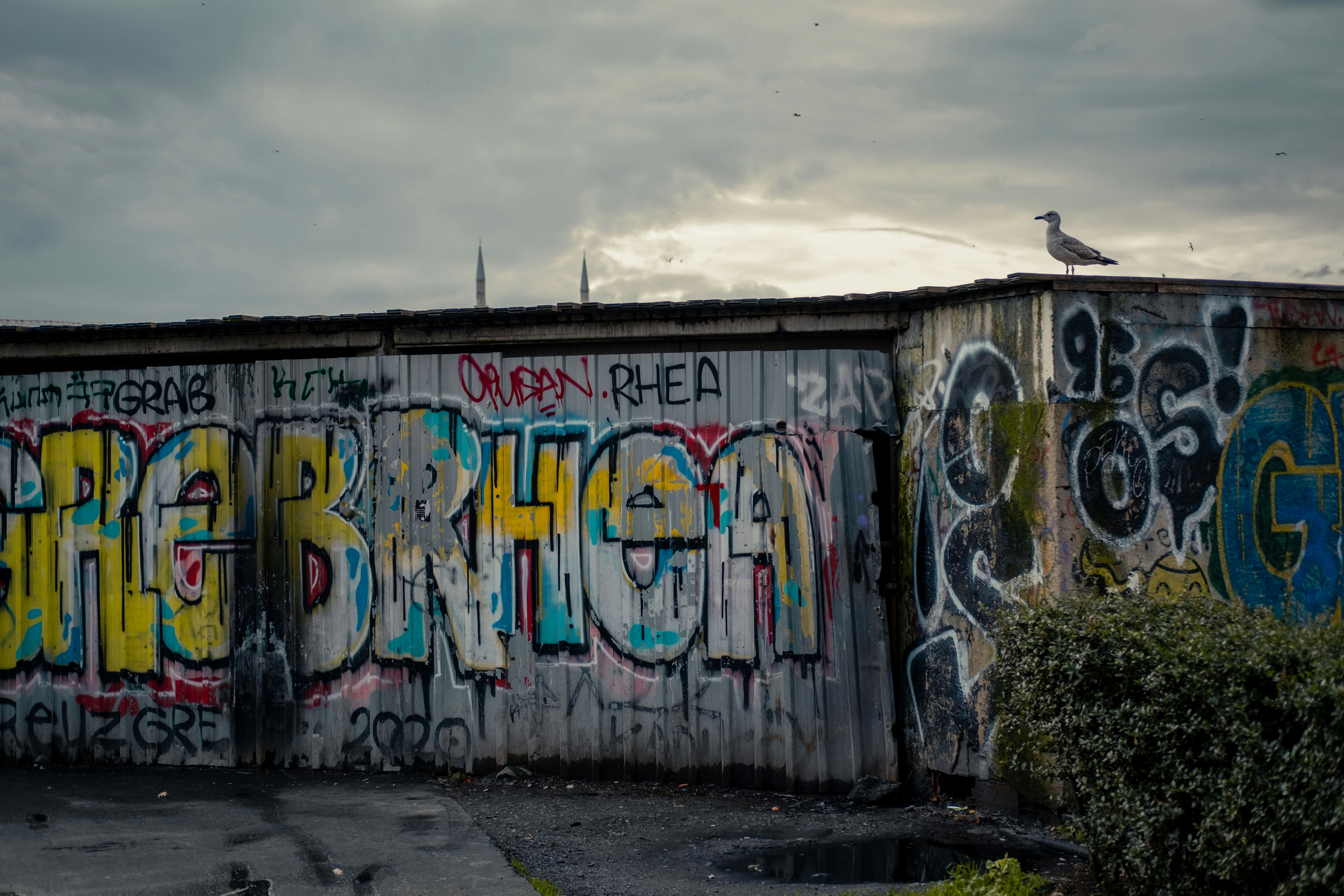 Seagull Sentinel Over a Graffiti Wall Beneath a Brooding Sky