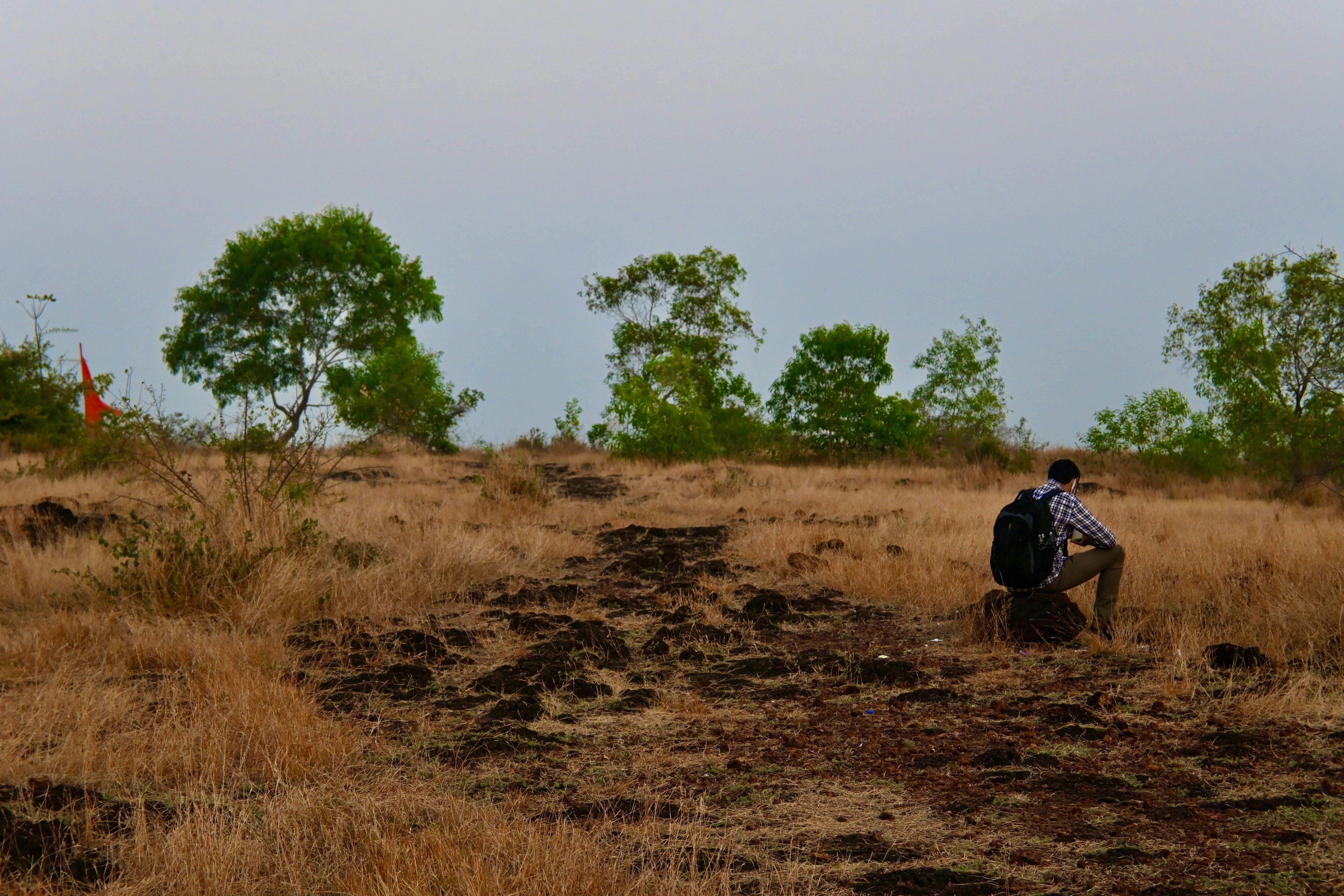 Solitary Trekker on a Parched Plain at the Edge of the Horizon