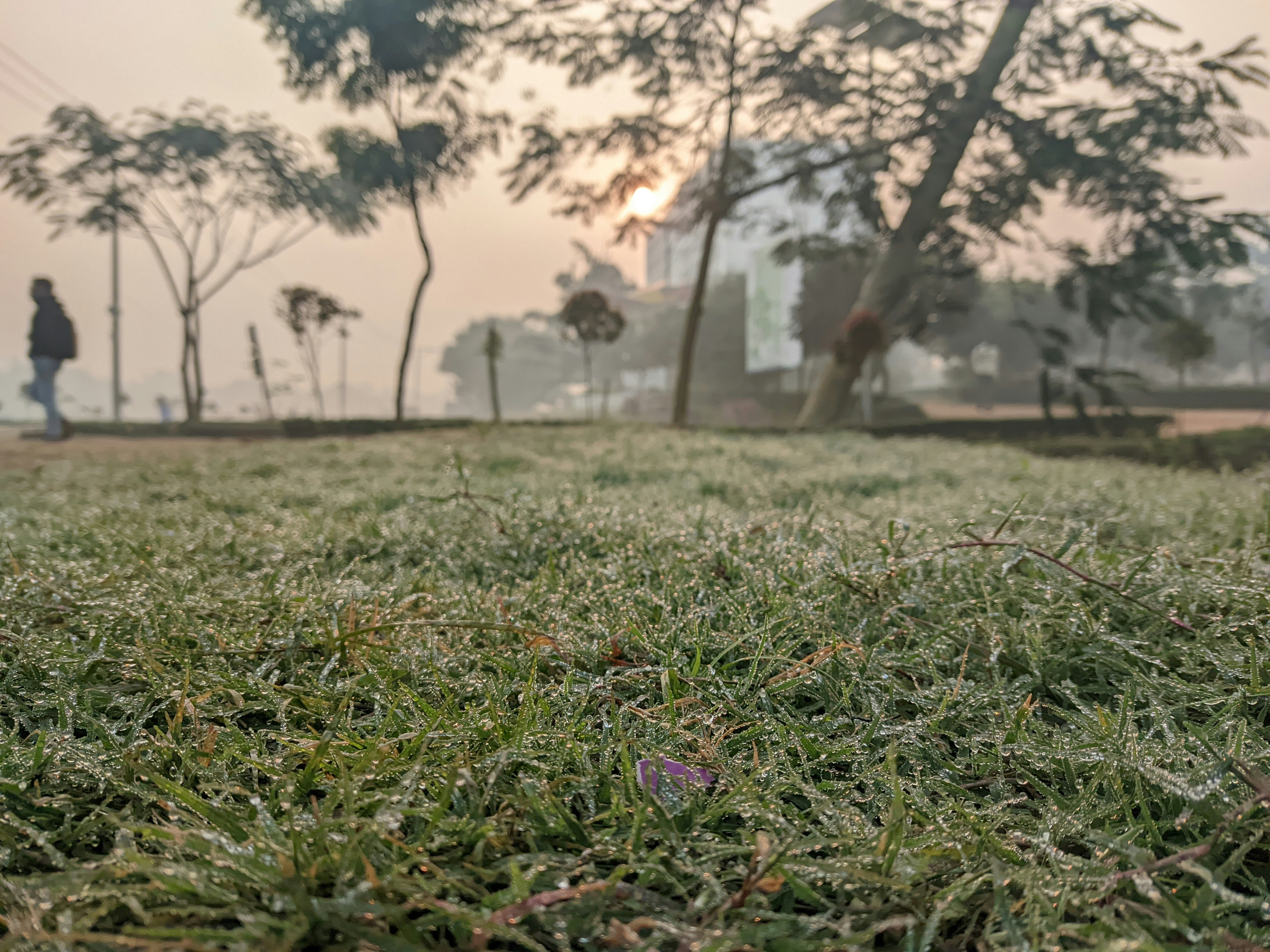 Frosty grass glistens in the early morning light, with a solitary figure walking in the background. The atmosphere is serene and misty.