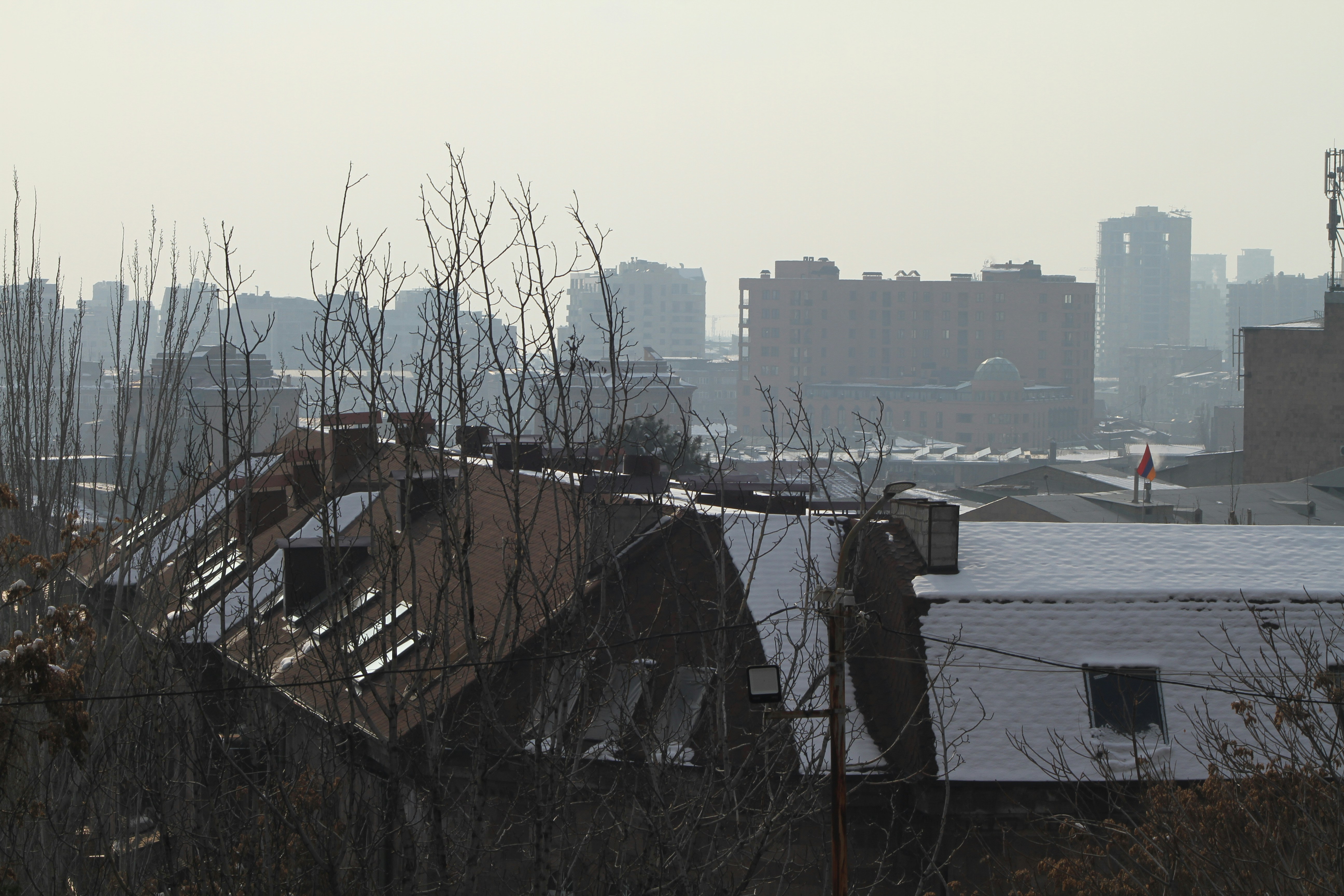 Distant city skyline with silhouetted buildings under a hazy sky, framed by barren trees in the foreground.