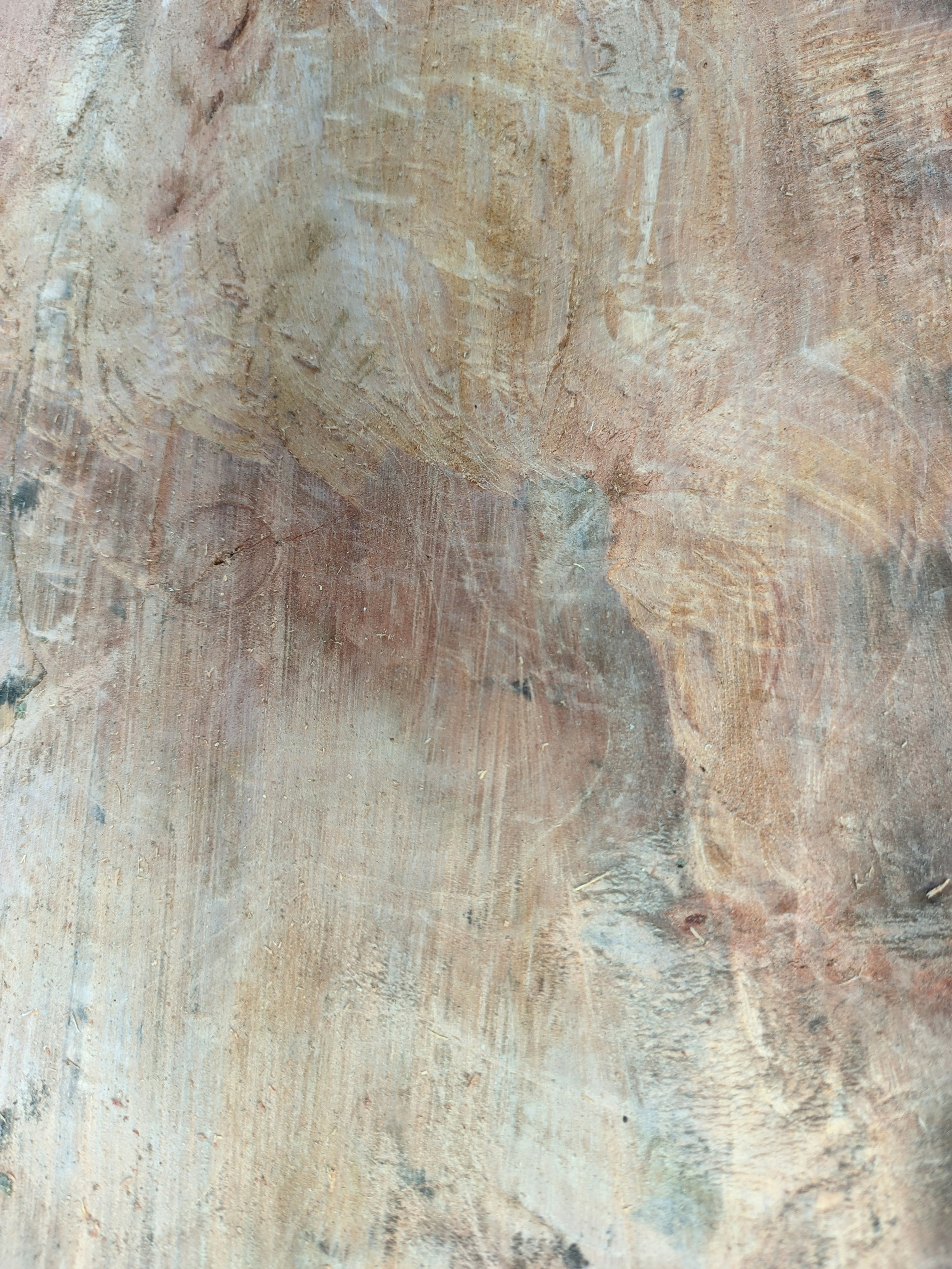 Sample photo from OPPO Reno