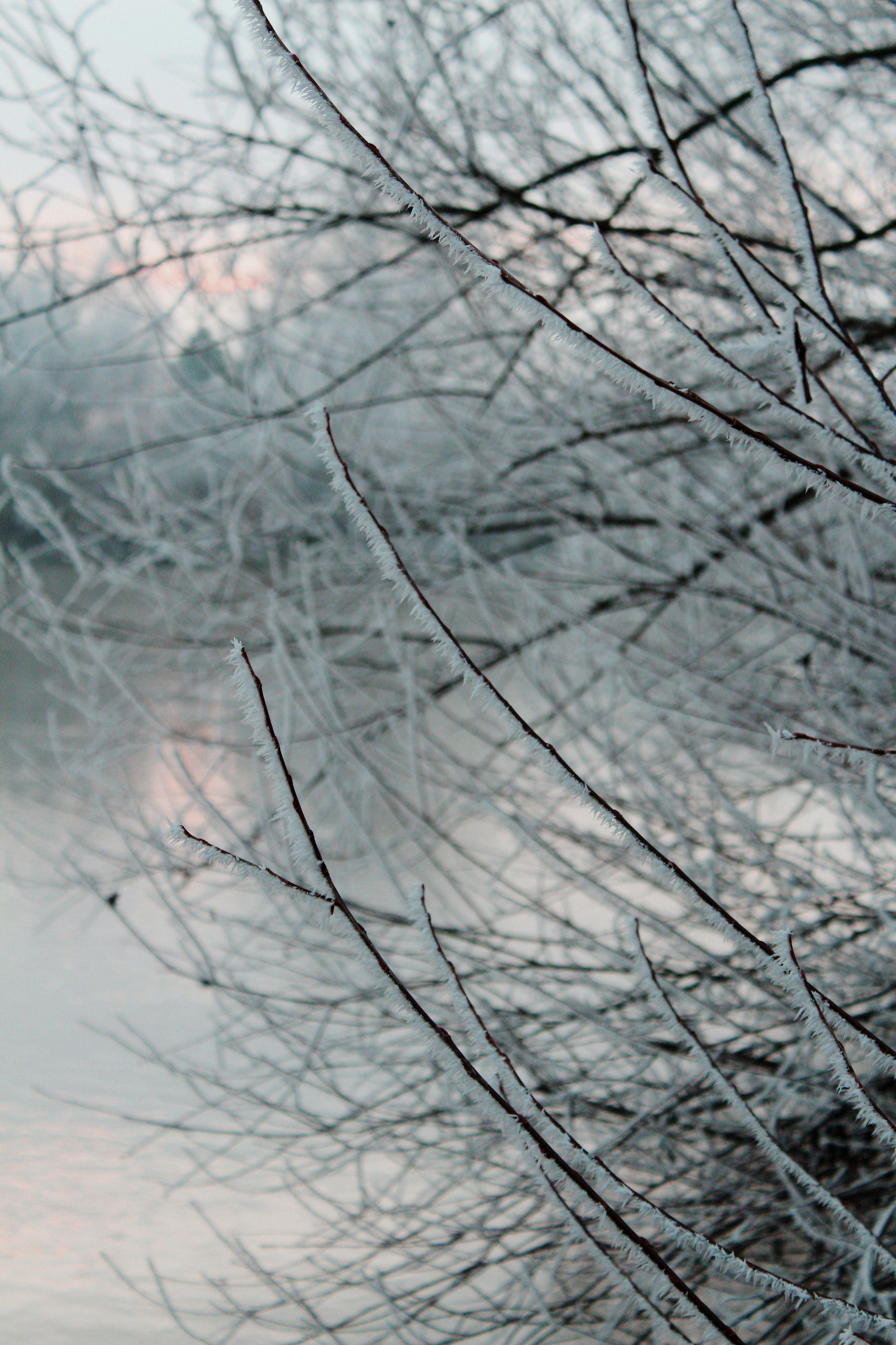 Photo by Carolina with Canon EOS 650D