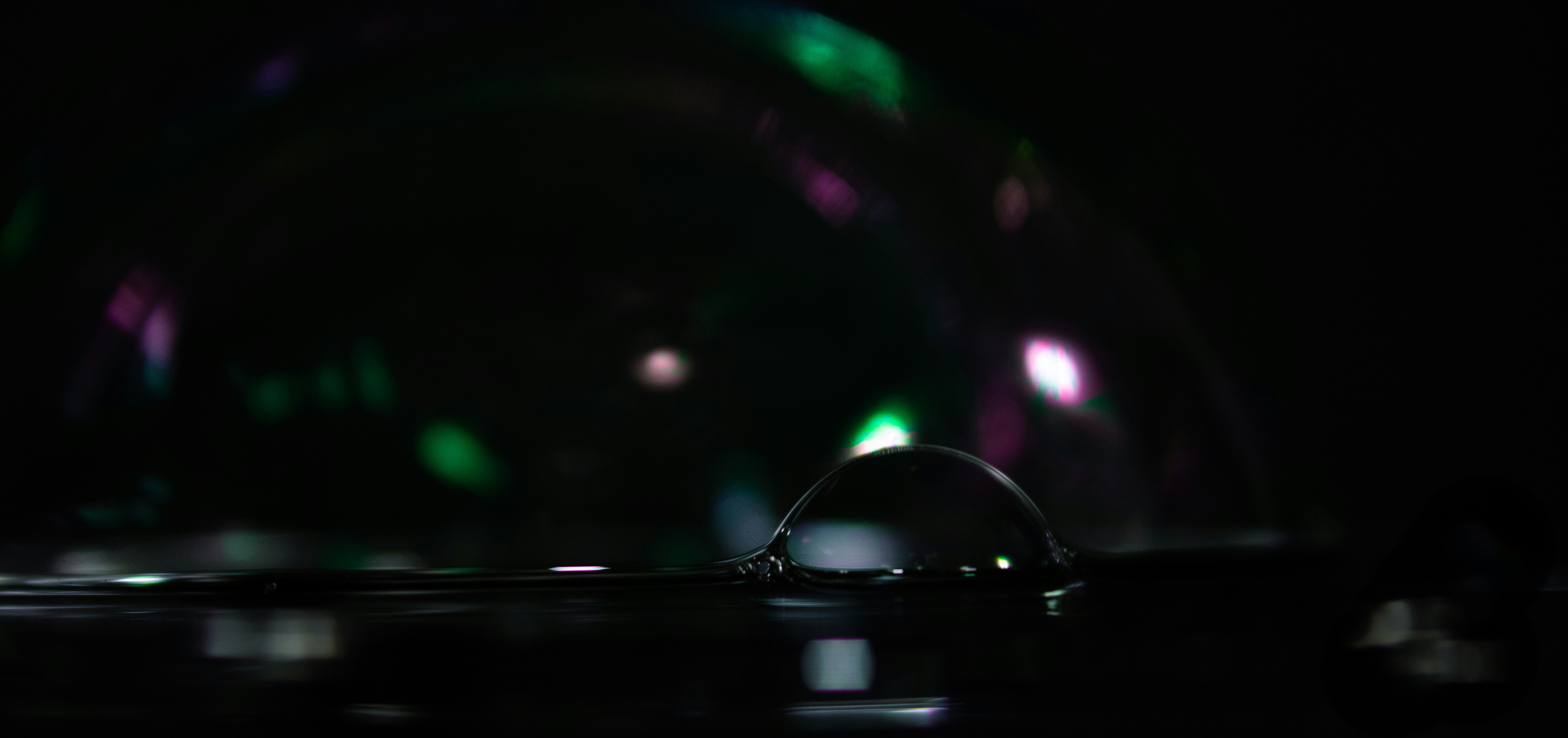 Photo by Madison with Canon EOS 2000D