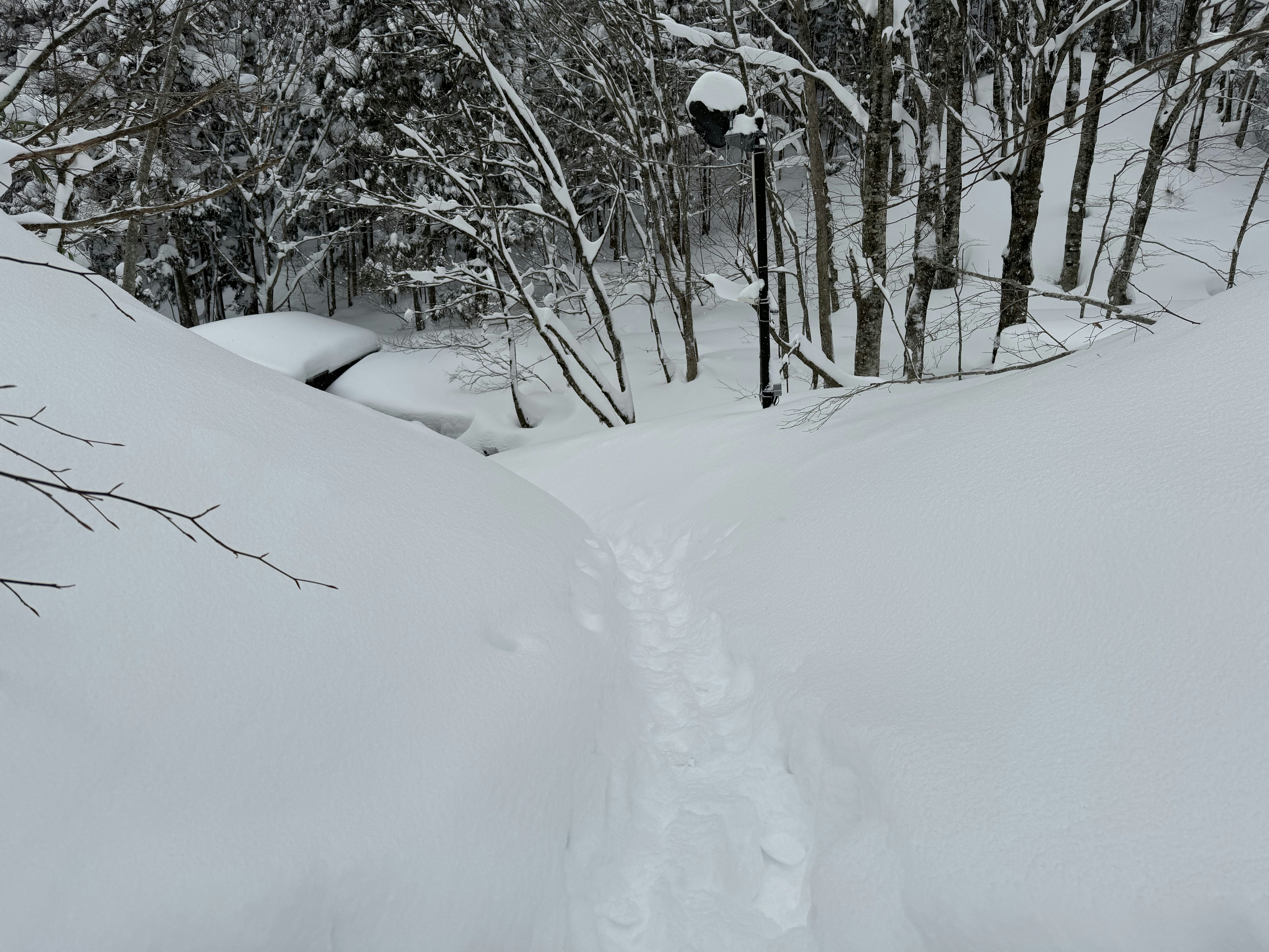 Footprints Toward a Lone Lantern: A Quiet Winter Snow Scene