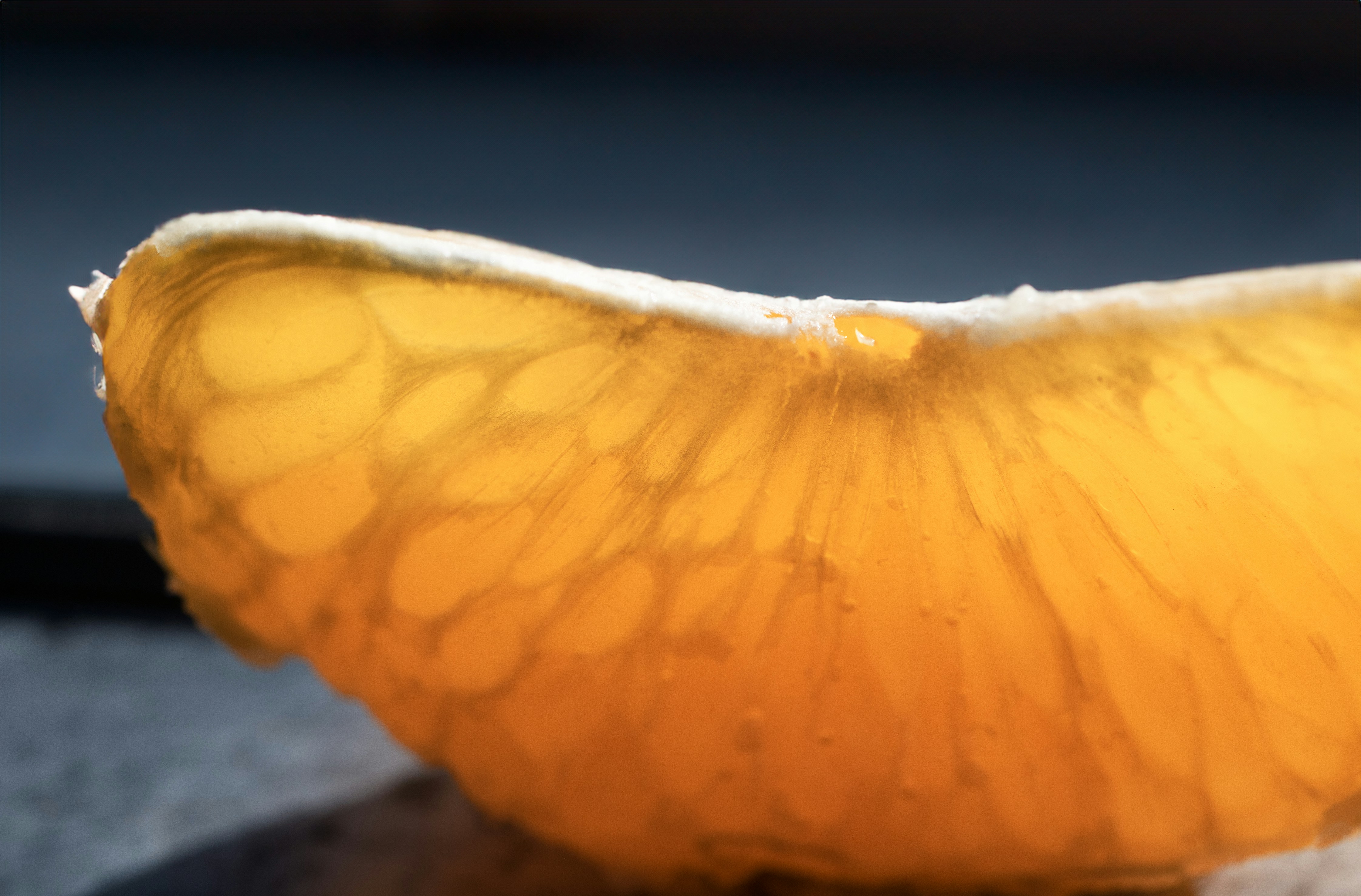 A close up of an orange on a table photo – Free Fruit Image on Unsplash