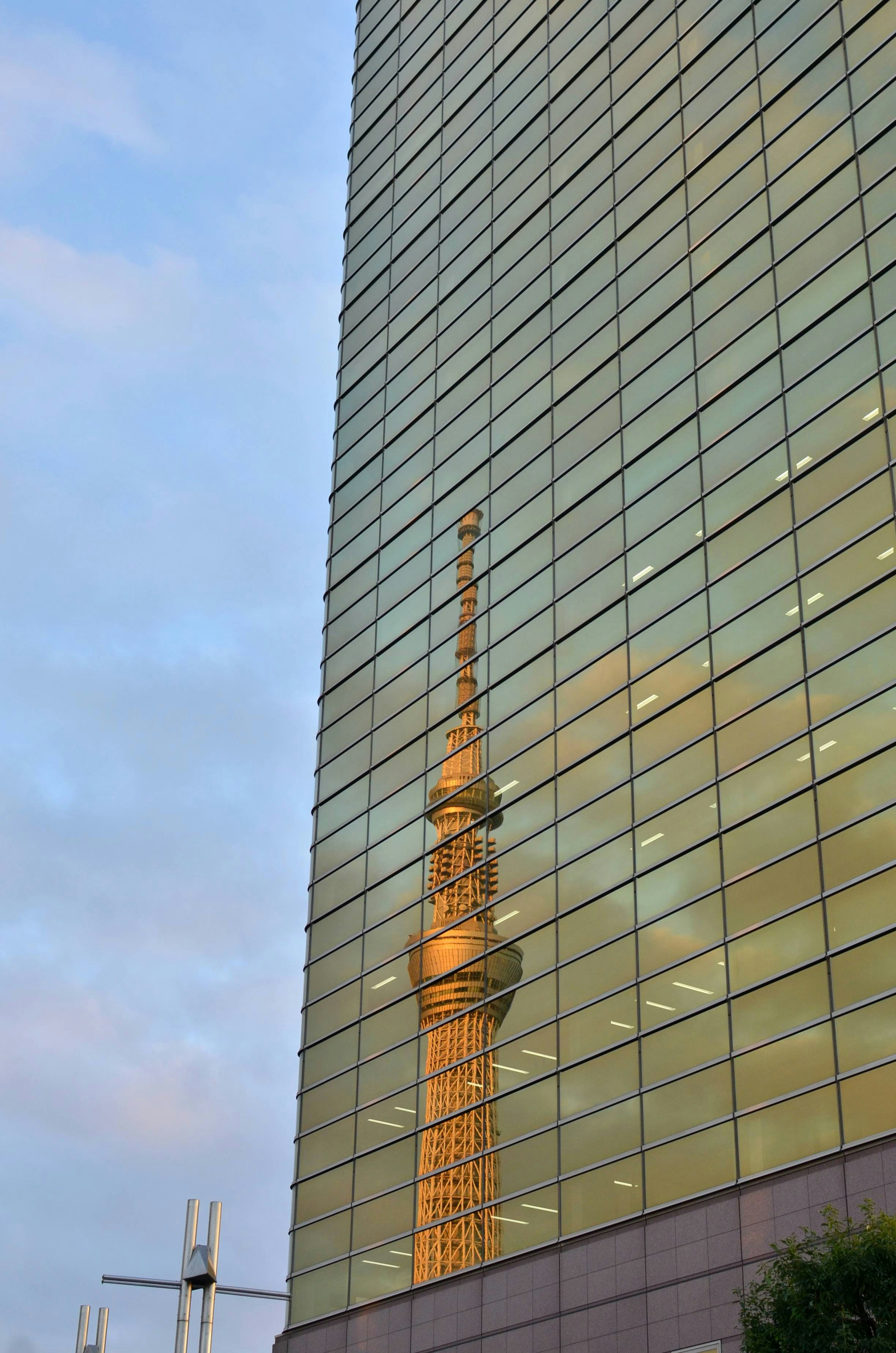 Tower in the Glass Cage: Tokyo Tower Reflected in a Modern Facade