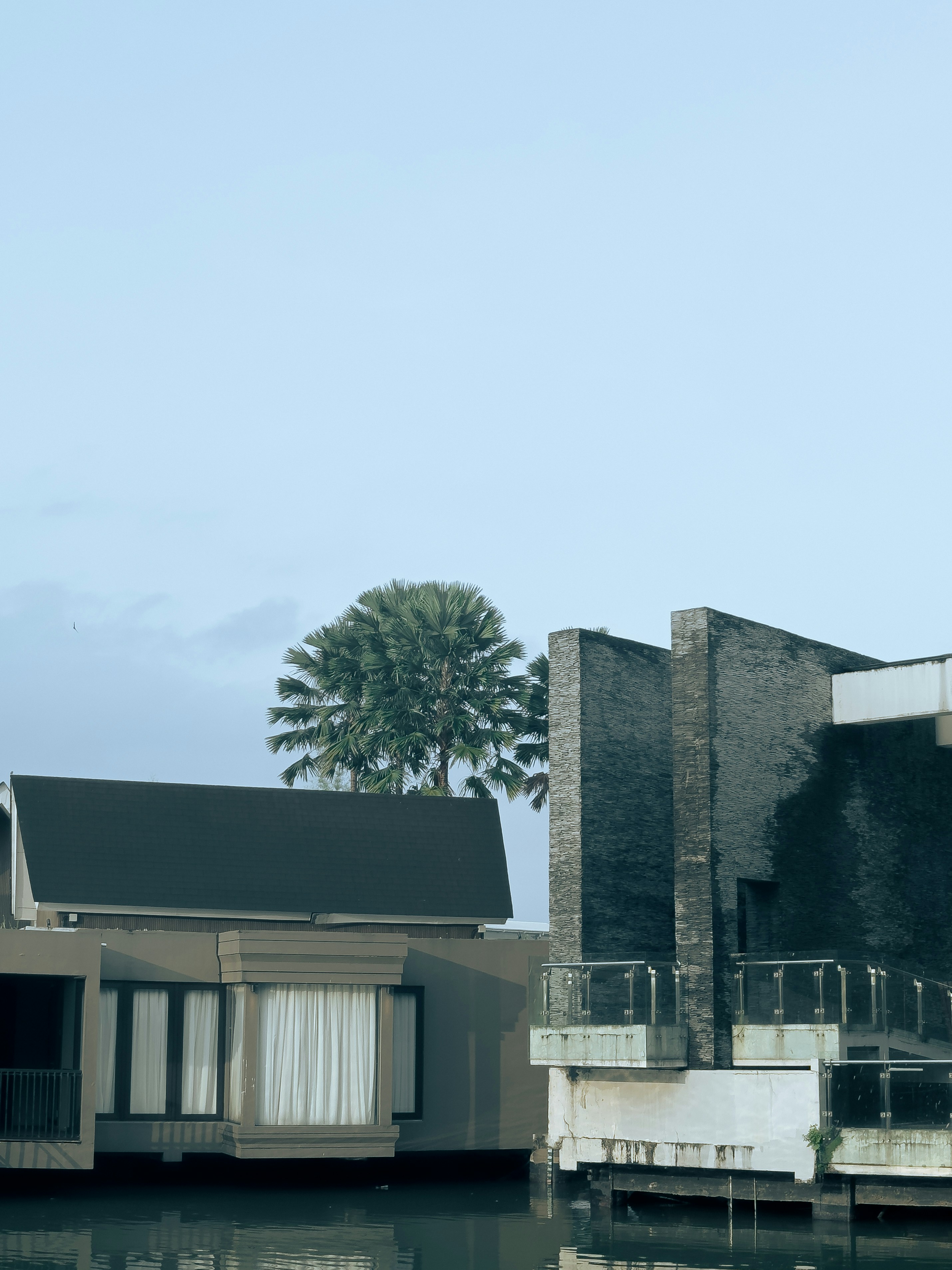 Palm Amid Concrete Horizons: A Calm Waterfront Scene