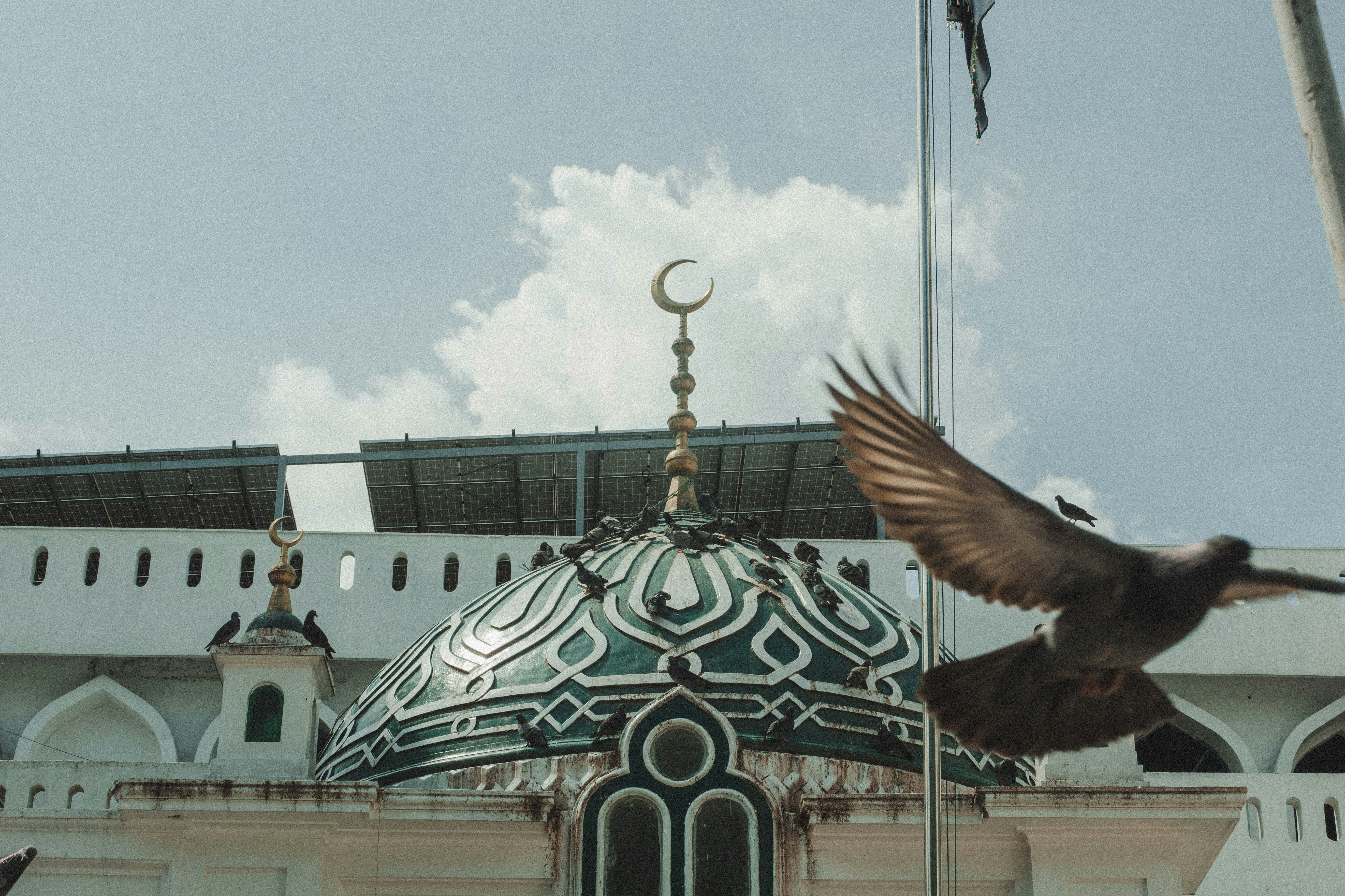 Crescent Finial Above a Mosque Dome as a Pigeon Cuts Through the Frame