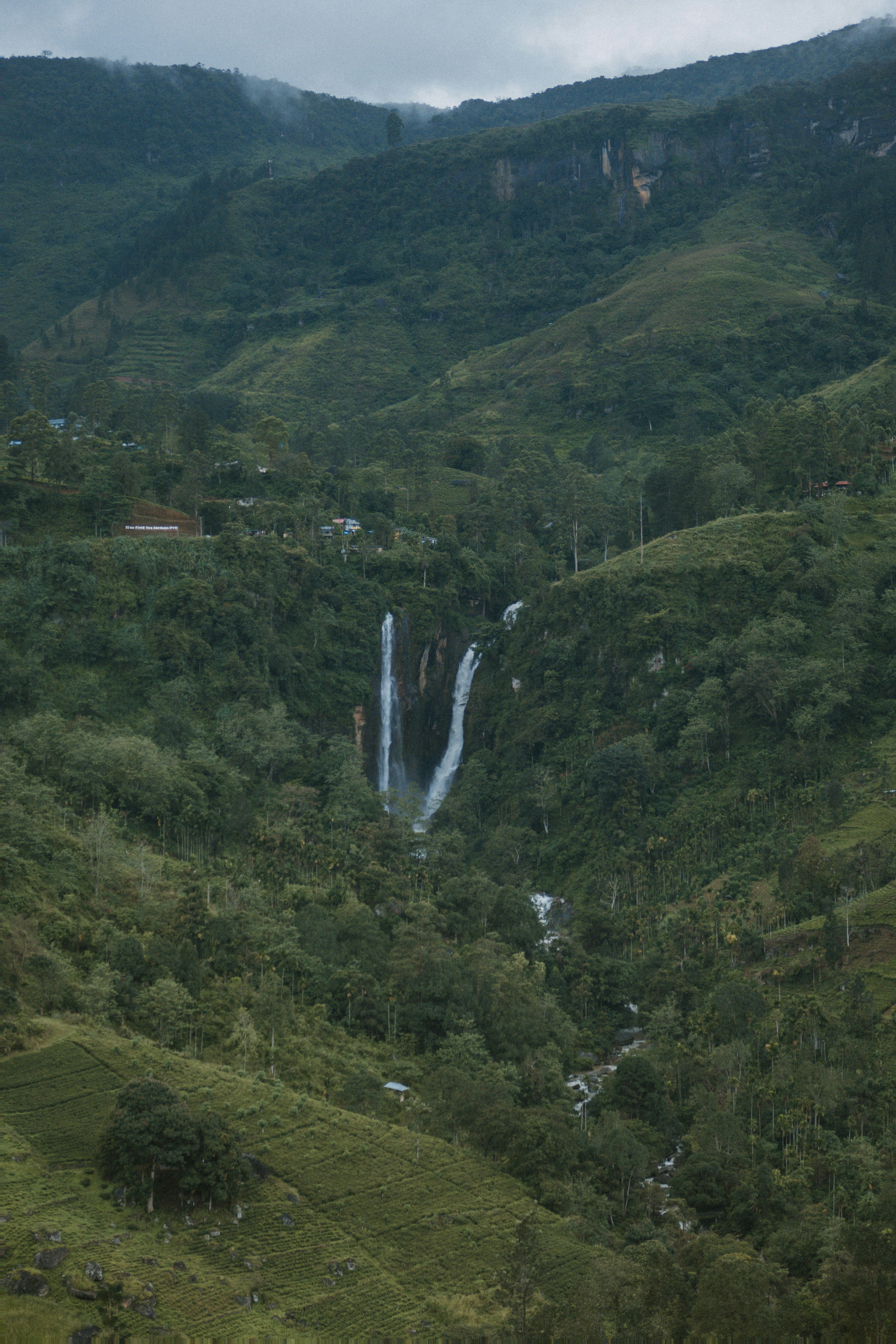 Twin Cascades Slice Through a Verdant Valley