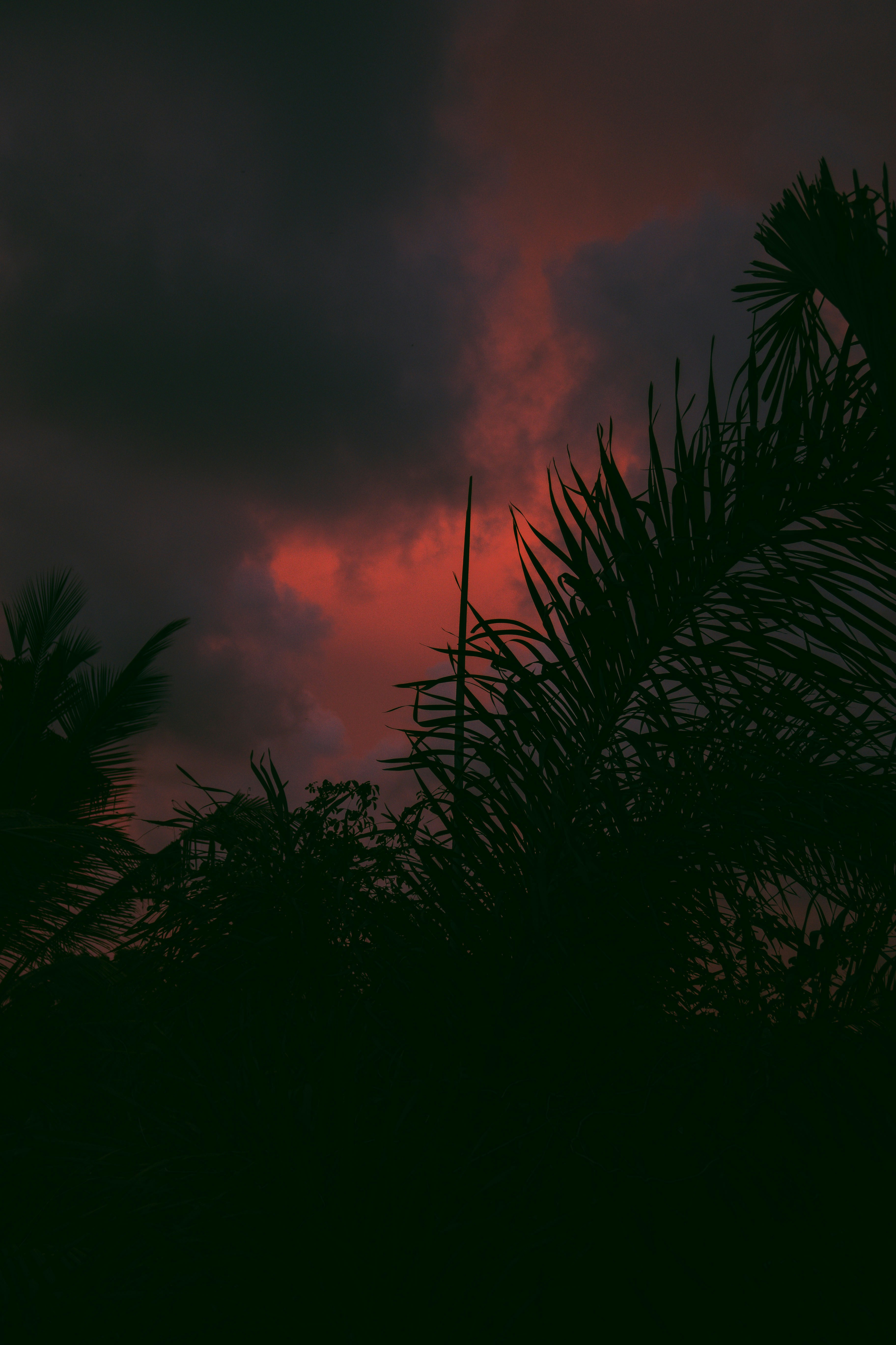 Photo by Mona Miller with Canon PowerShot G7 X Mark III