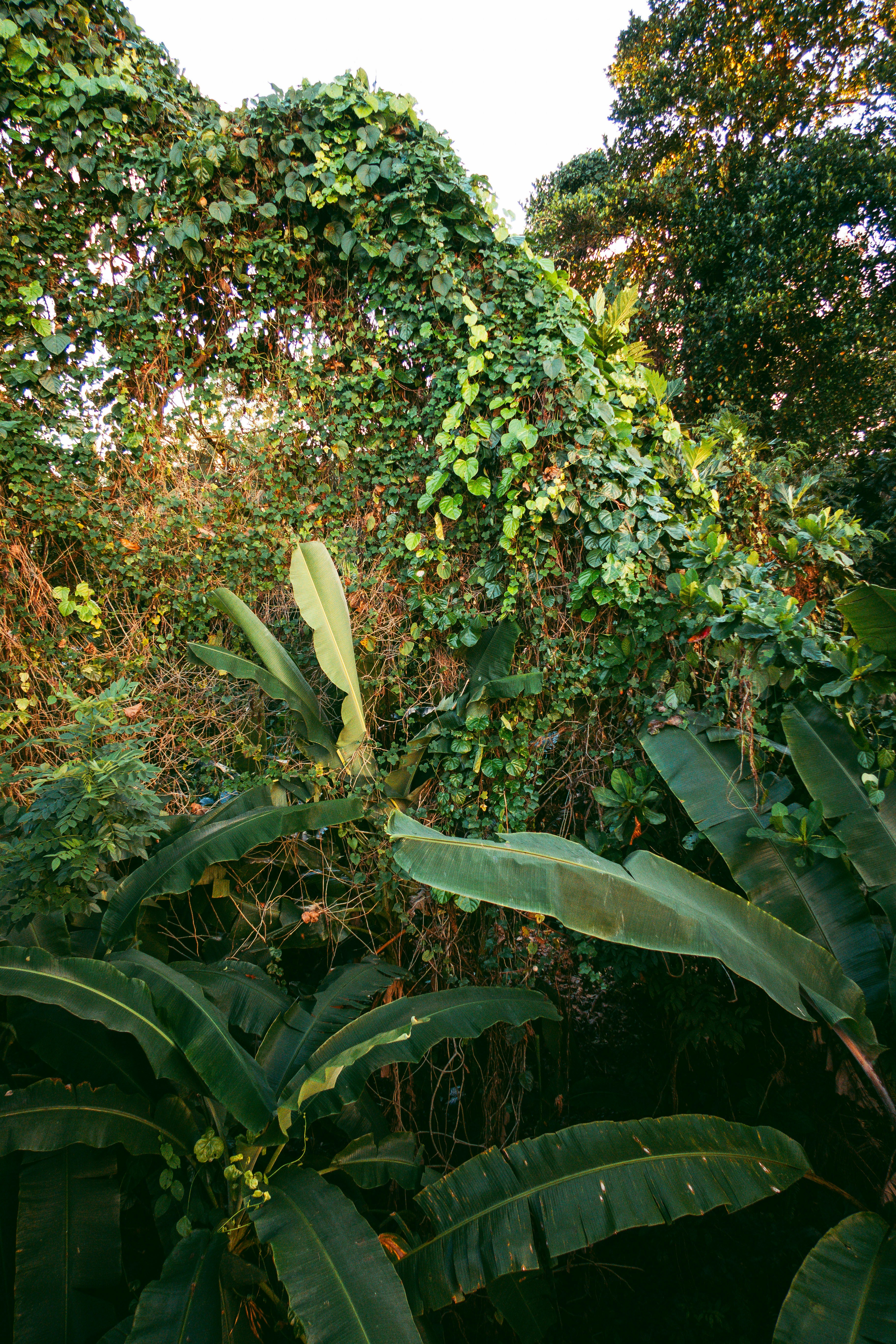 Photo by Mona Miller with Canon PowerShot G7 X Mark III