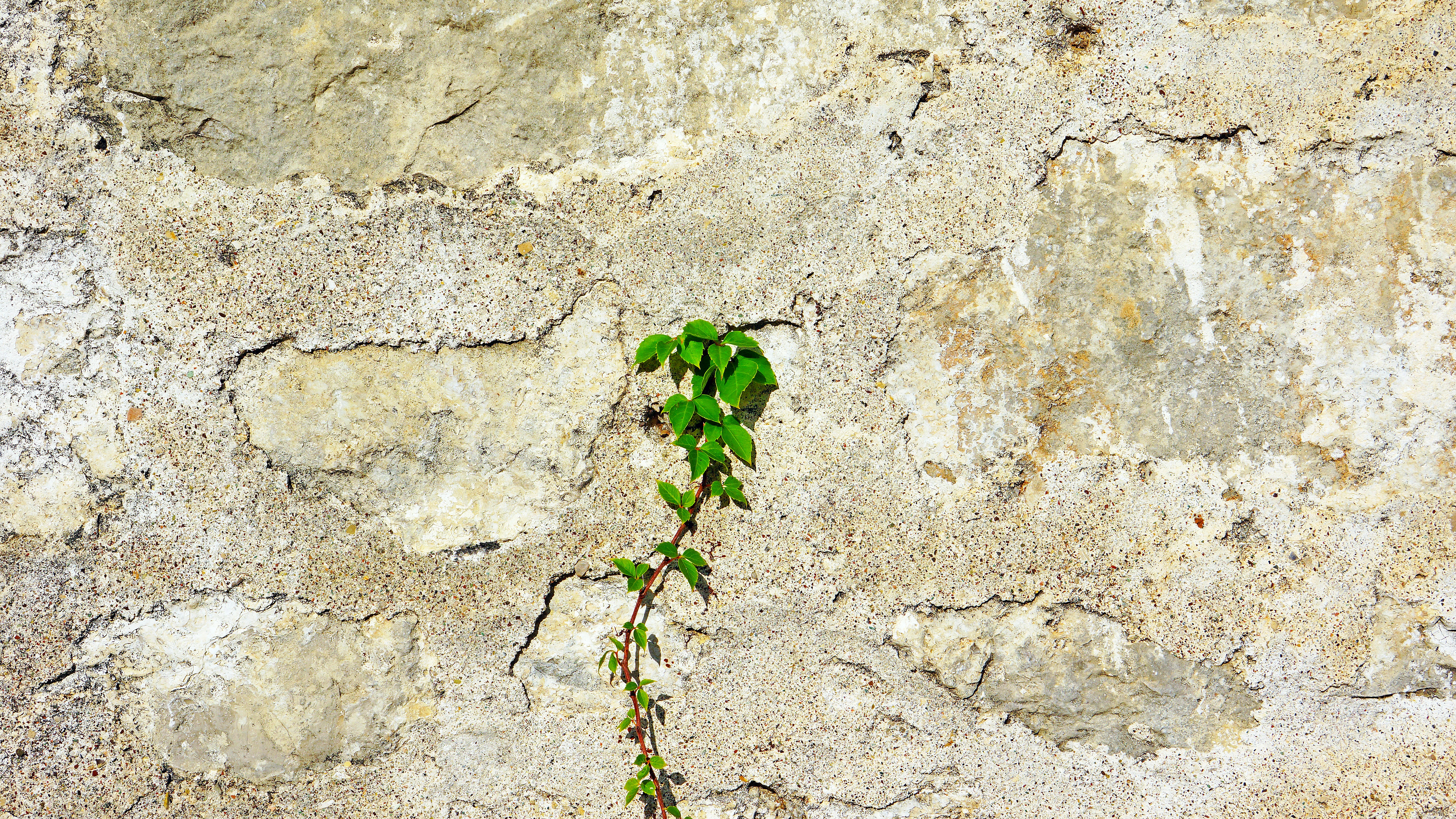 Photo by boris misevic with Sony NEX-7