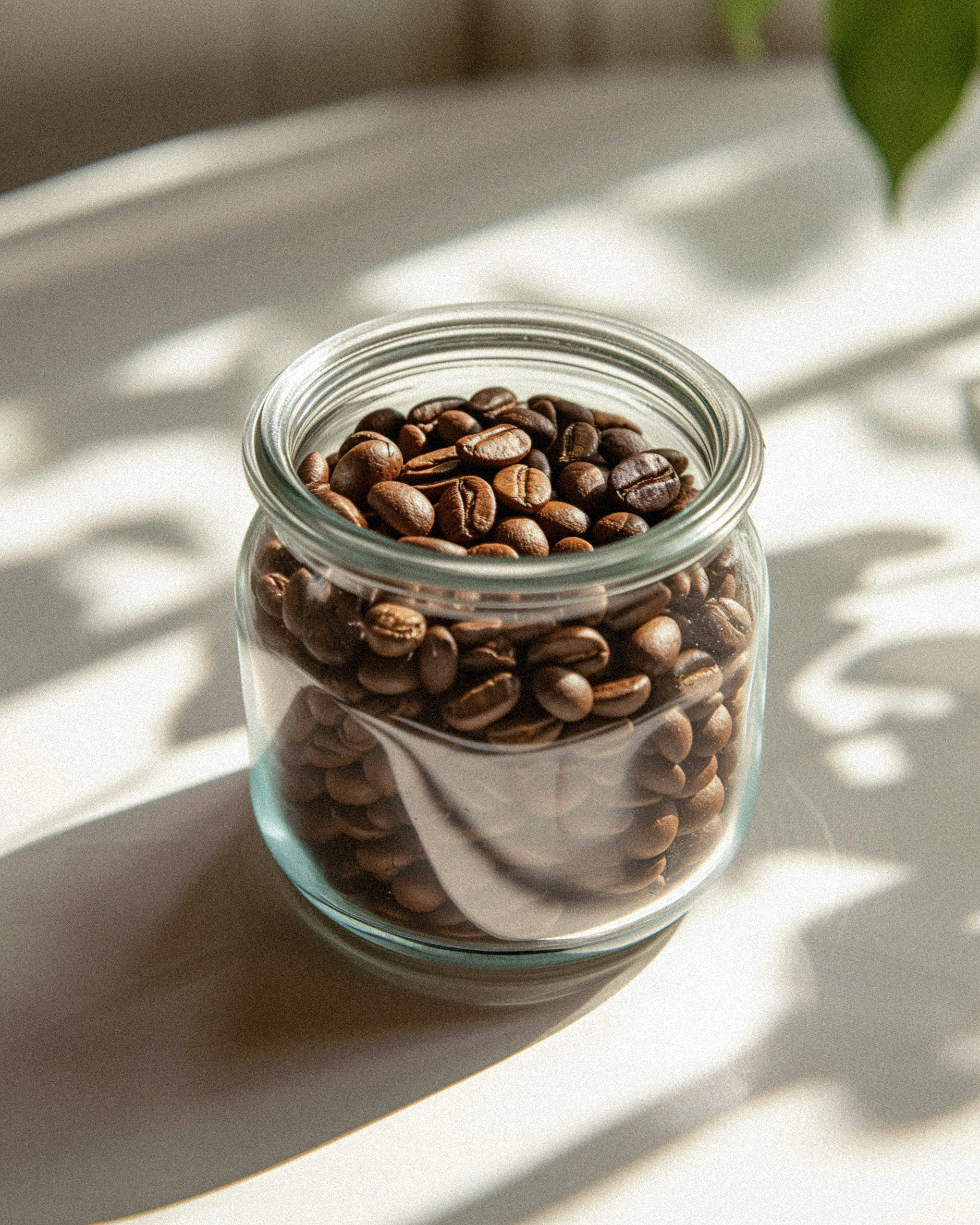 Understanding the Key Characteristics of Green Coffee Beans