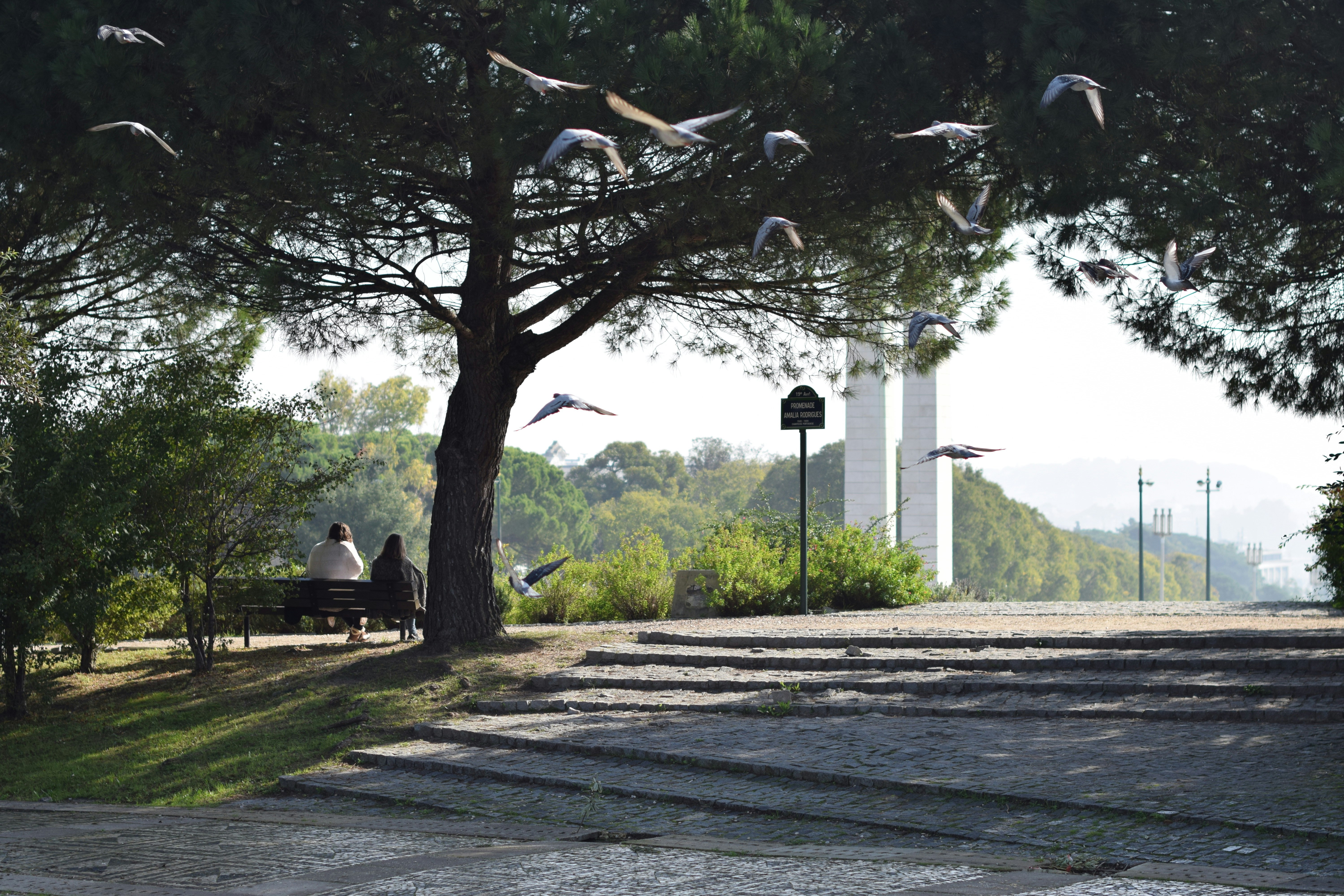 Parque Eduardo VII in Lisbon, view from the back