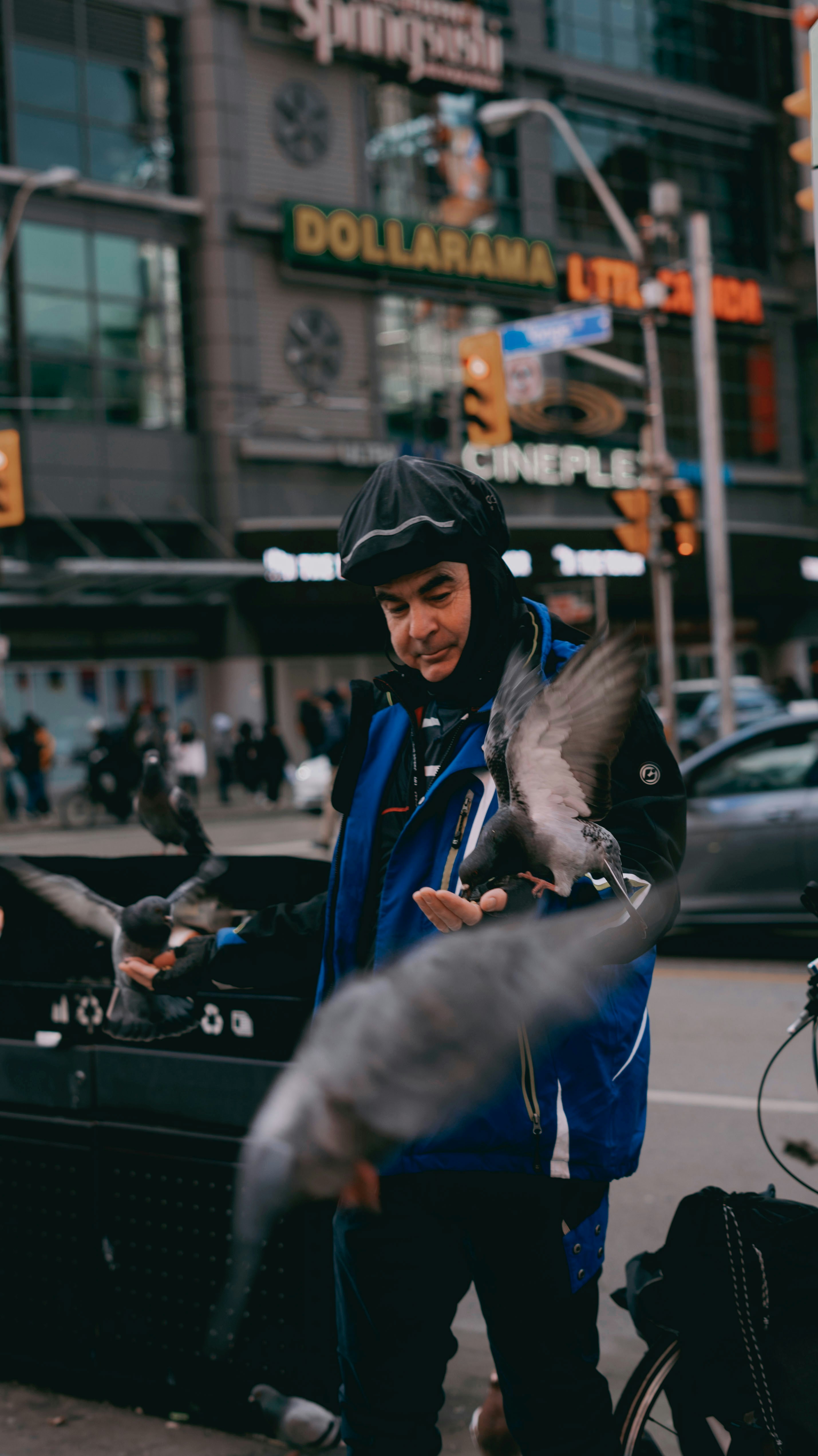 City Pedestrian with Flock: A Moment of Quiet Amid Urban Motion