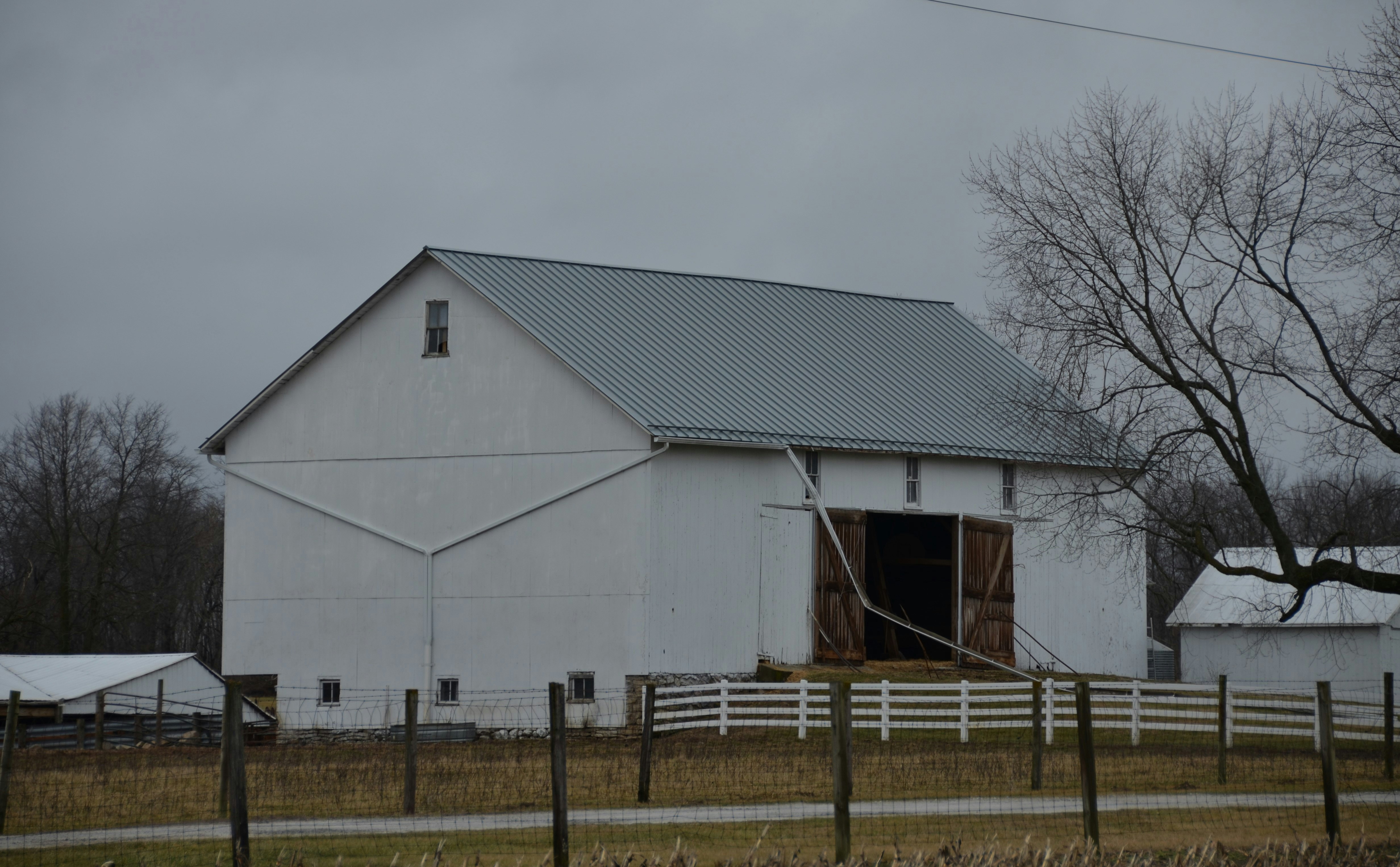 A large white barn with a metal roof photo – Free Building Image on ...