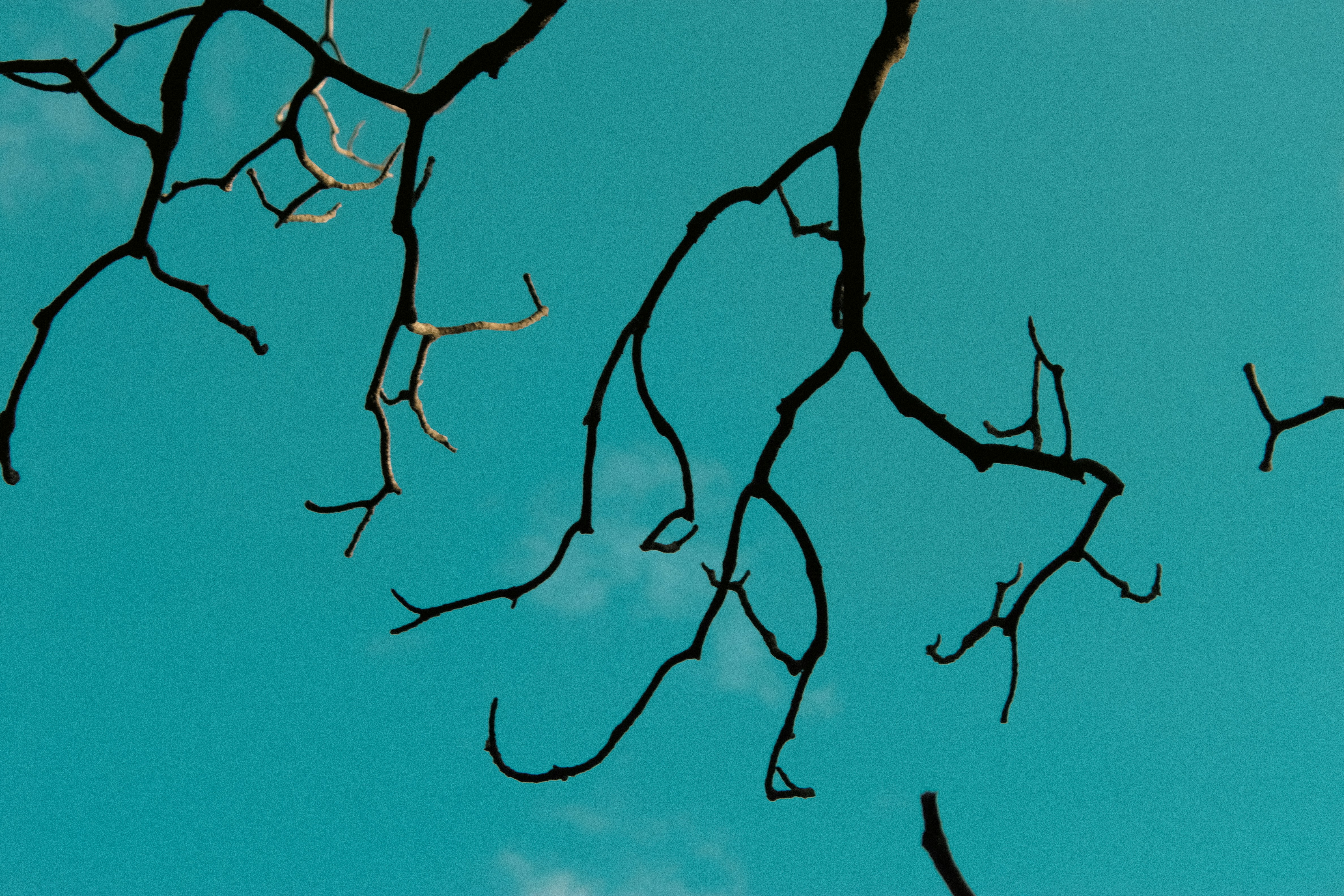 Photo by Roman Petrov with Canon EOS 500D