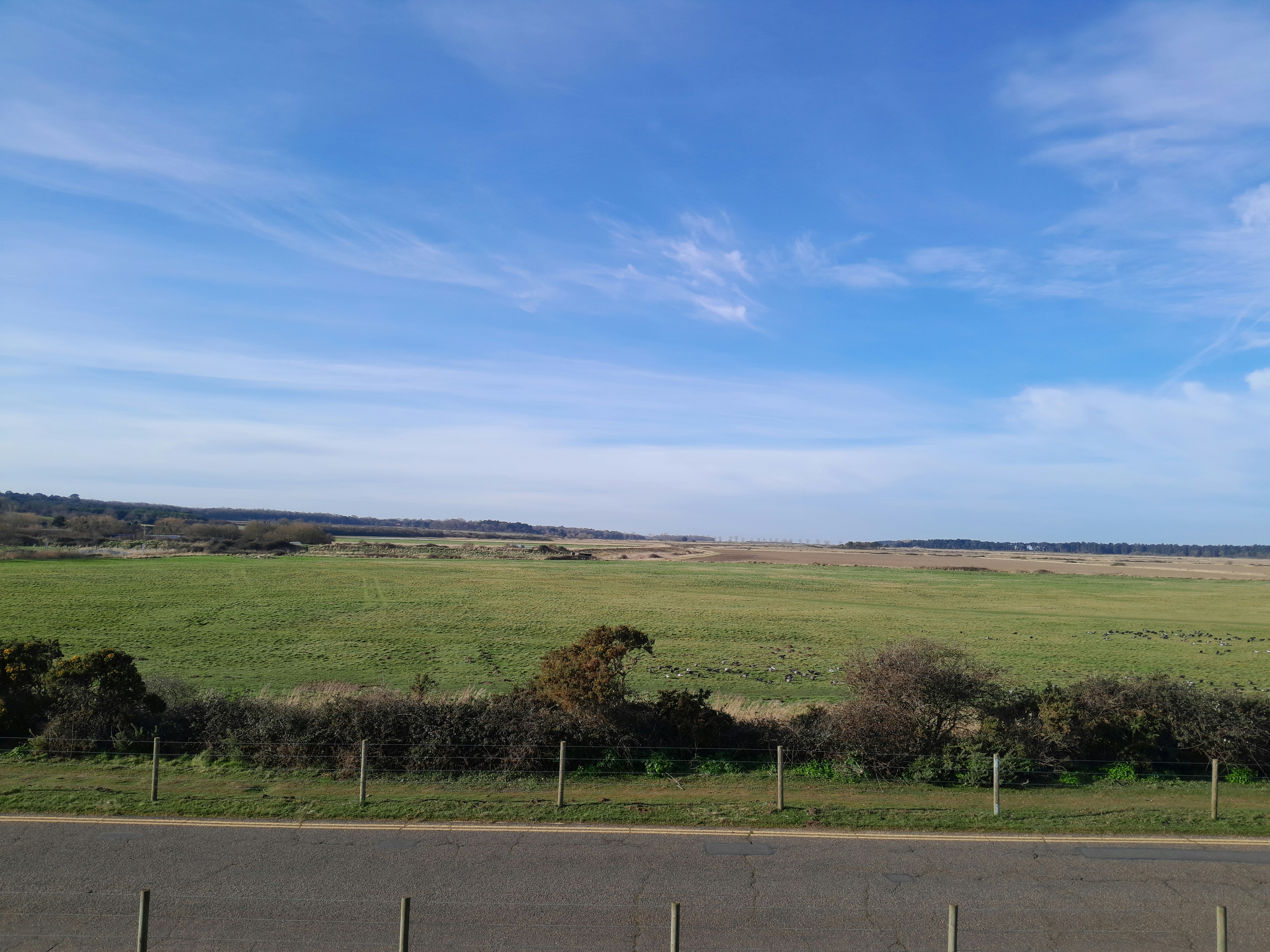 Horizon Over Verdant Fields at Noon