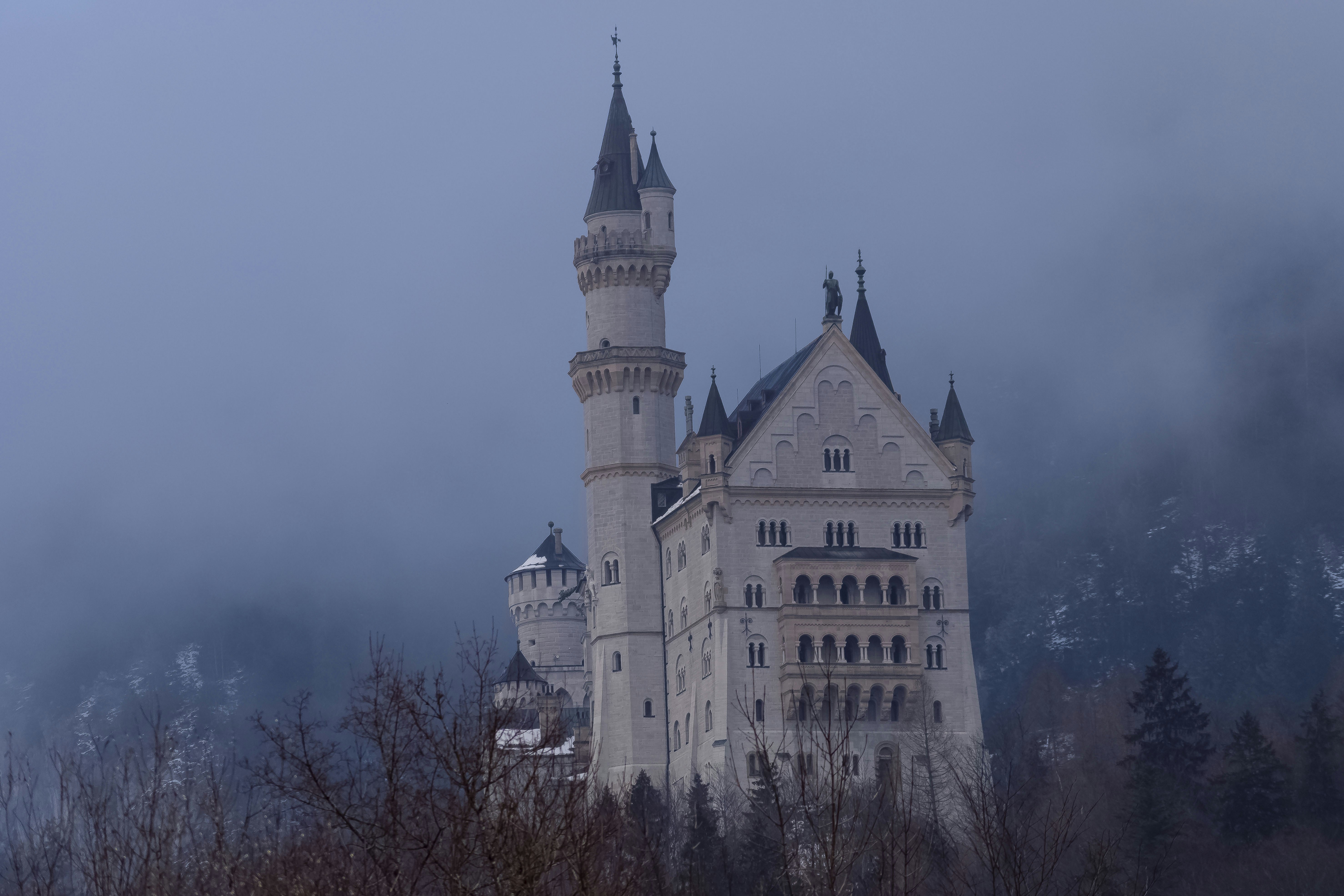 Photo by Luca with Nikon D5600