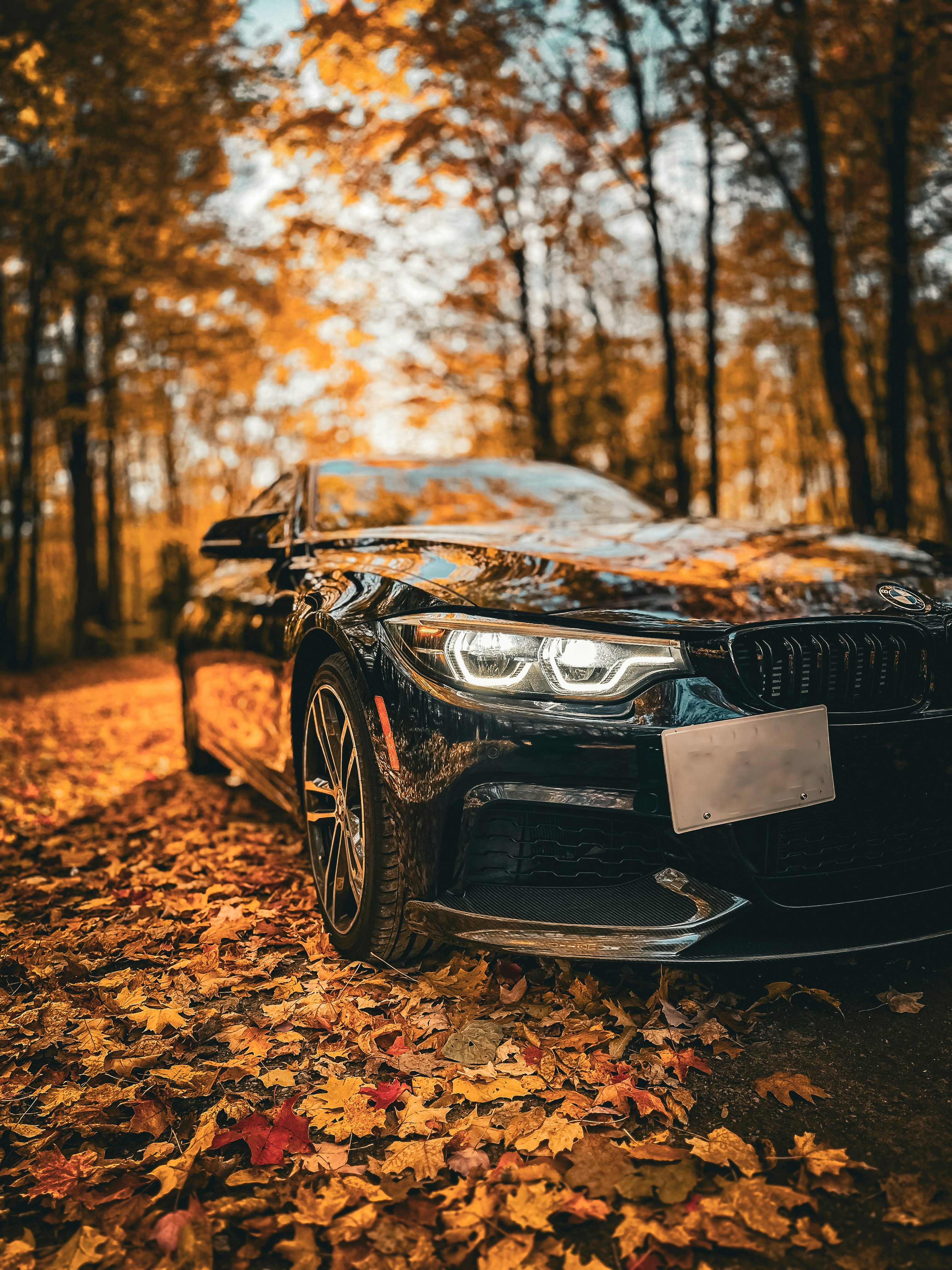 A black car parked on a leaf covered road photo – Free Fall season ...