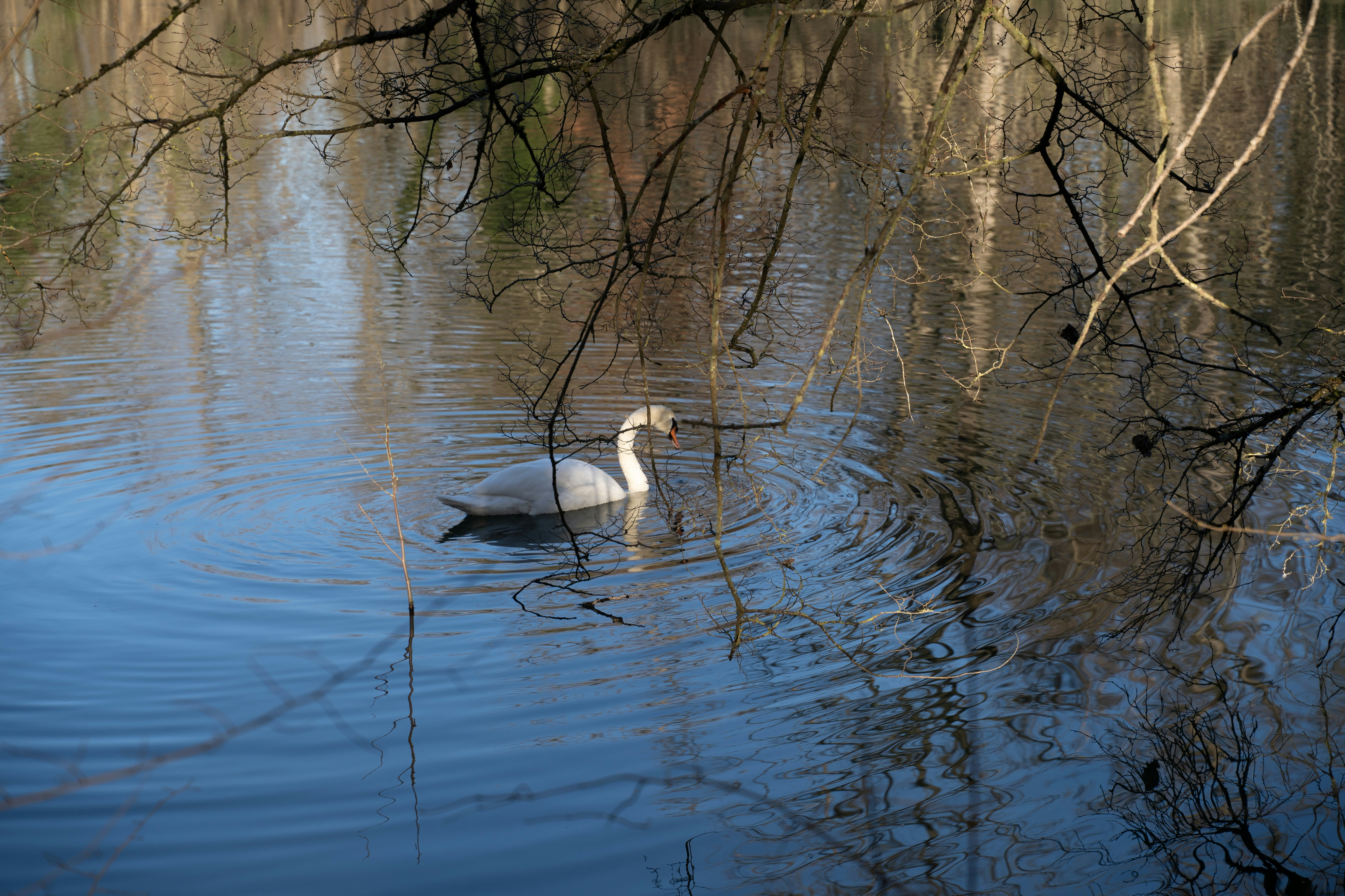 Photo by Santiago Fanego with Sony Alpha 7 III