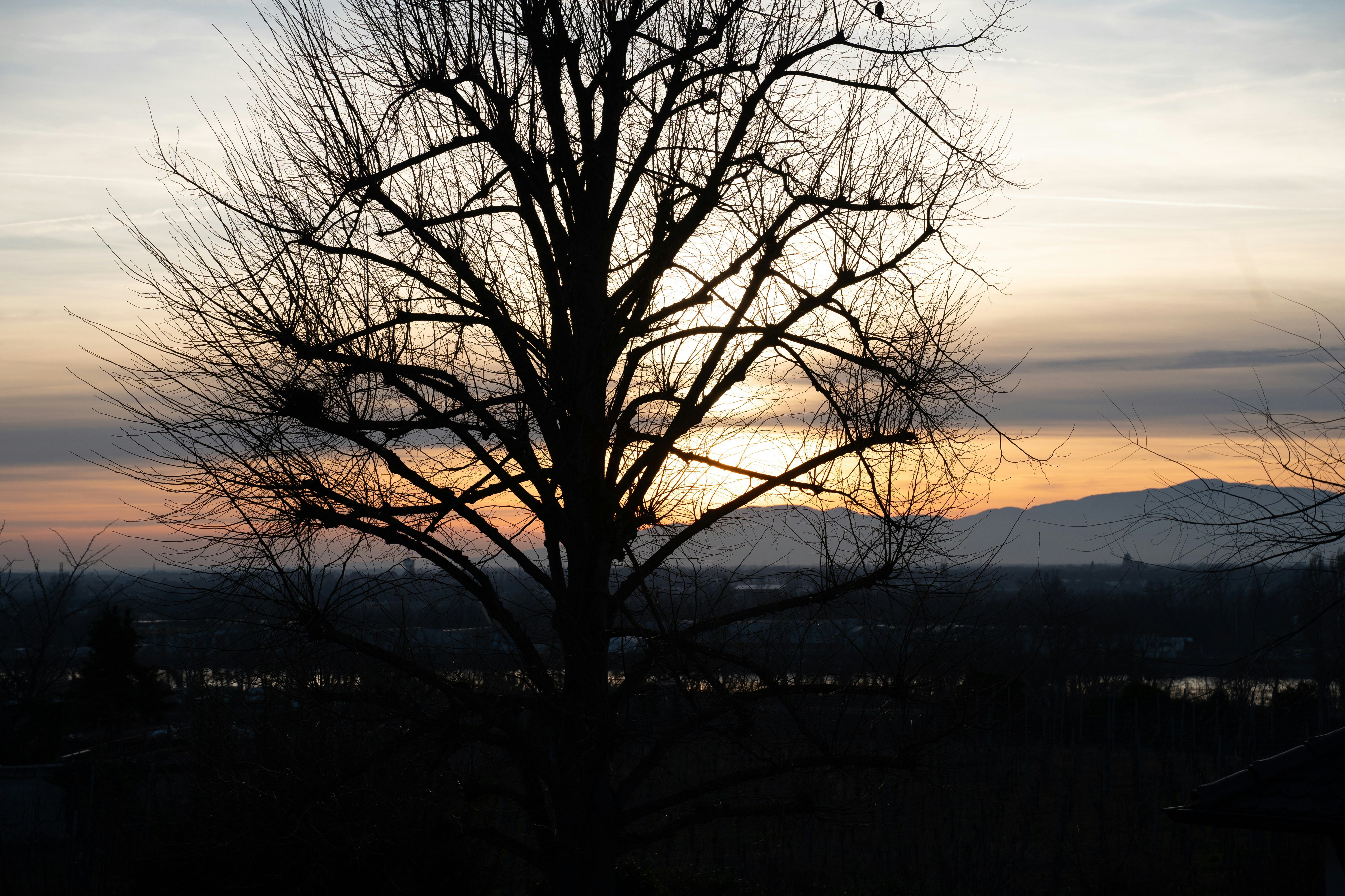 Photo by Santiago Fanego with Sony Alpha 7 III