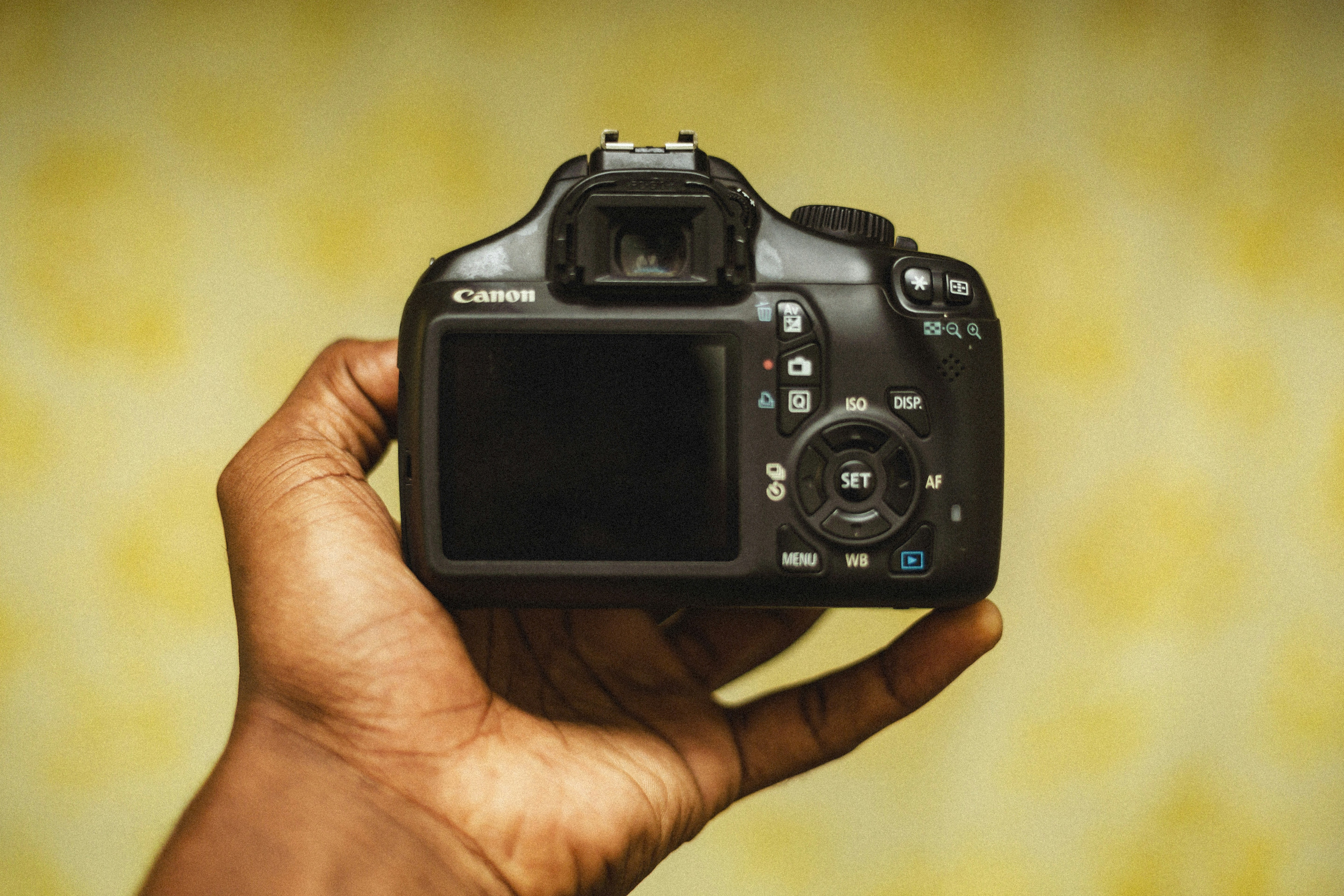 Backside Focus: Hand-Held Canon DSLR Against a Sunlit Yellow Backdrop