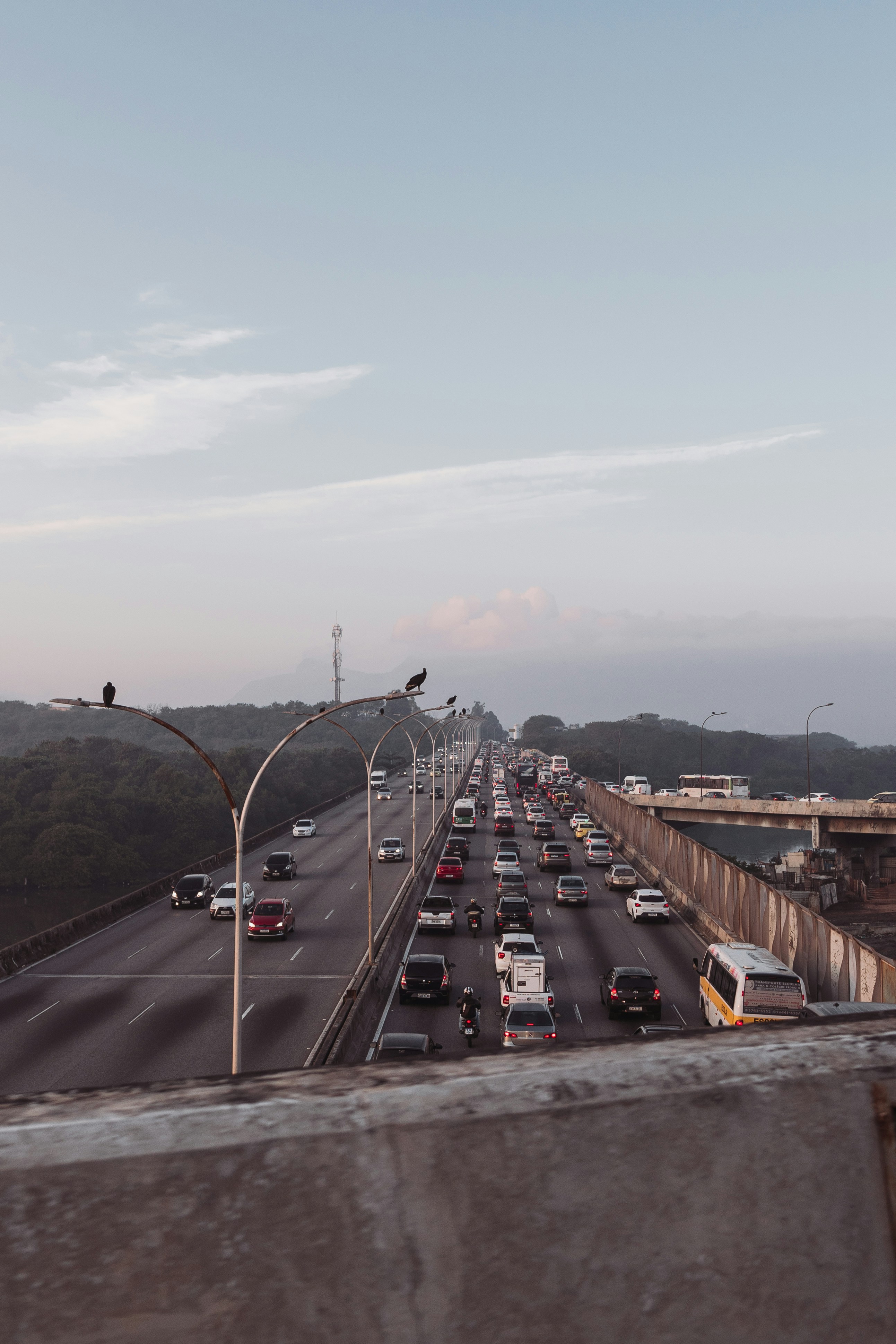 Horizon Convergence: A Bridge Over a River of Headlights
