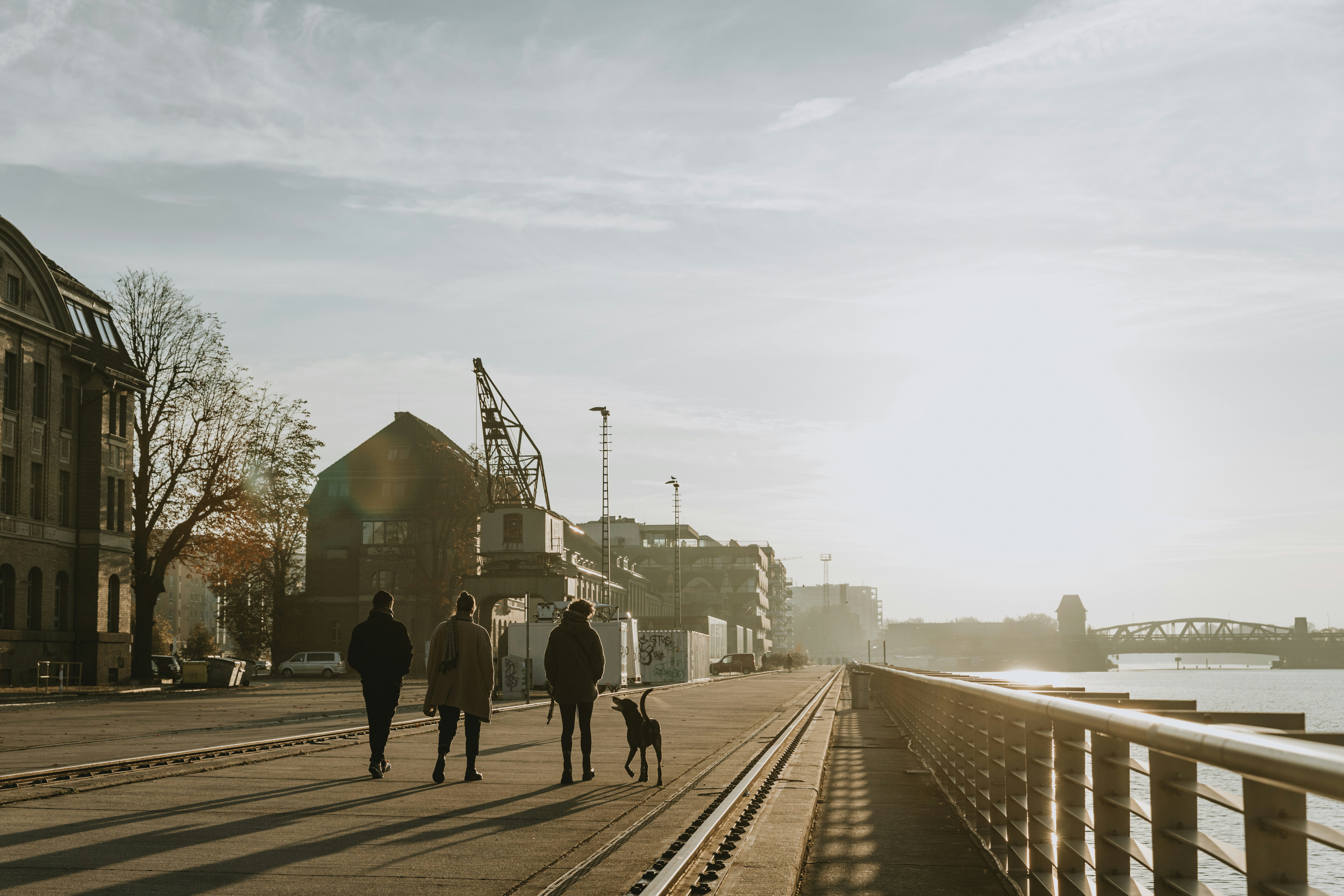 Dawn along the Riverside Promenade: Silhouettes, Railings, and a Dog