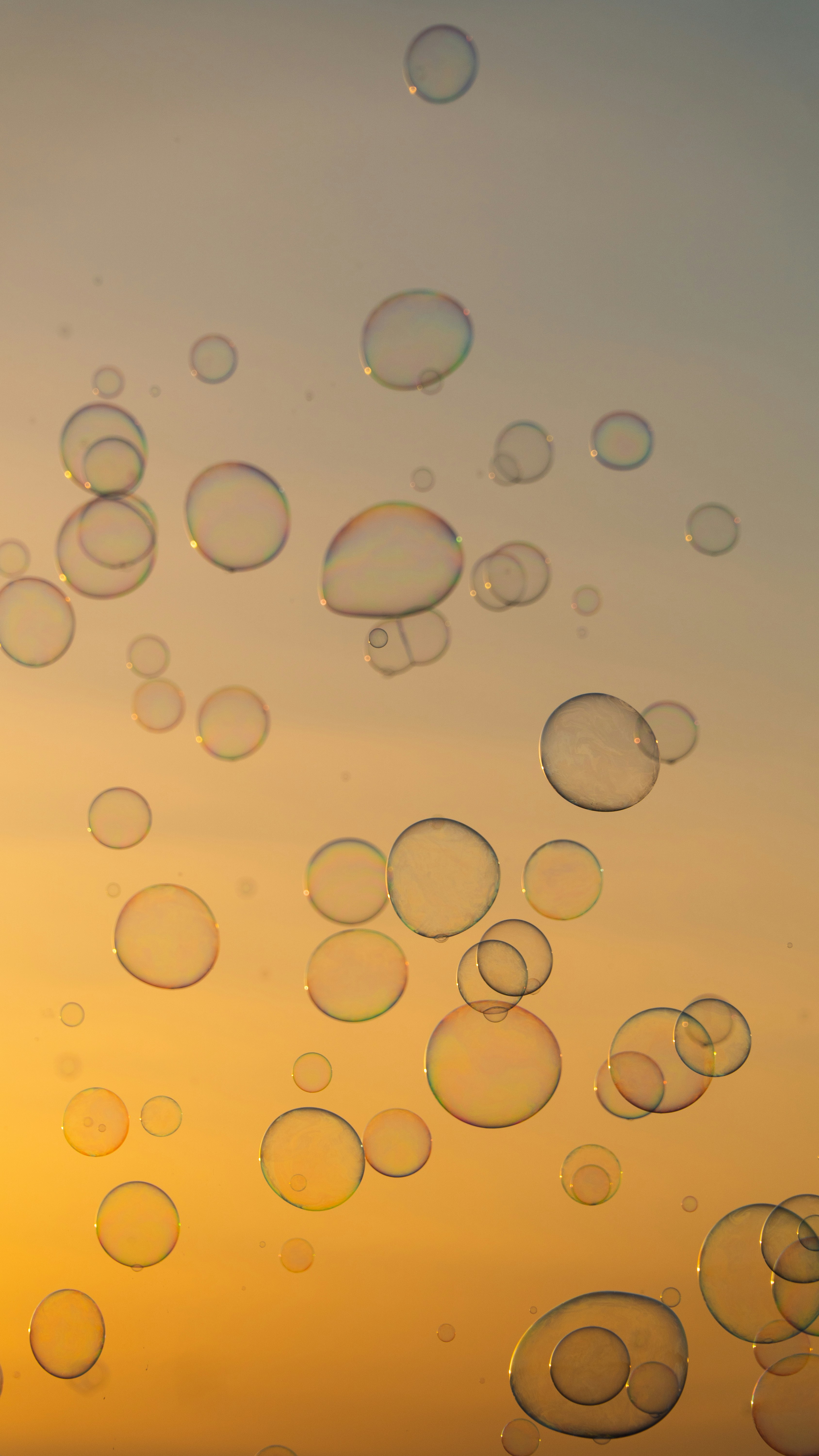 Dusk Orbs Adrift in a Glassy Sunset