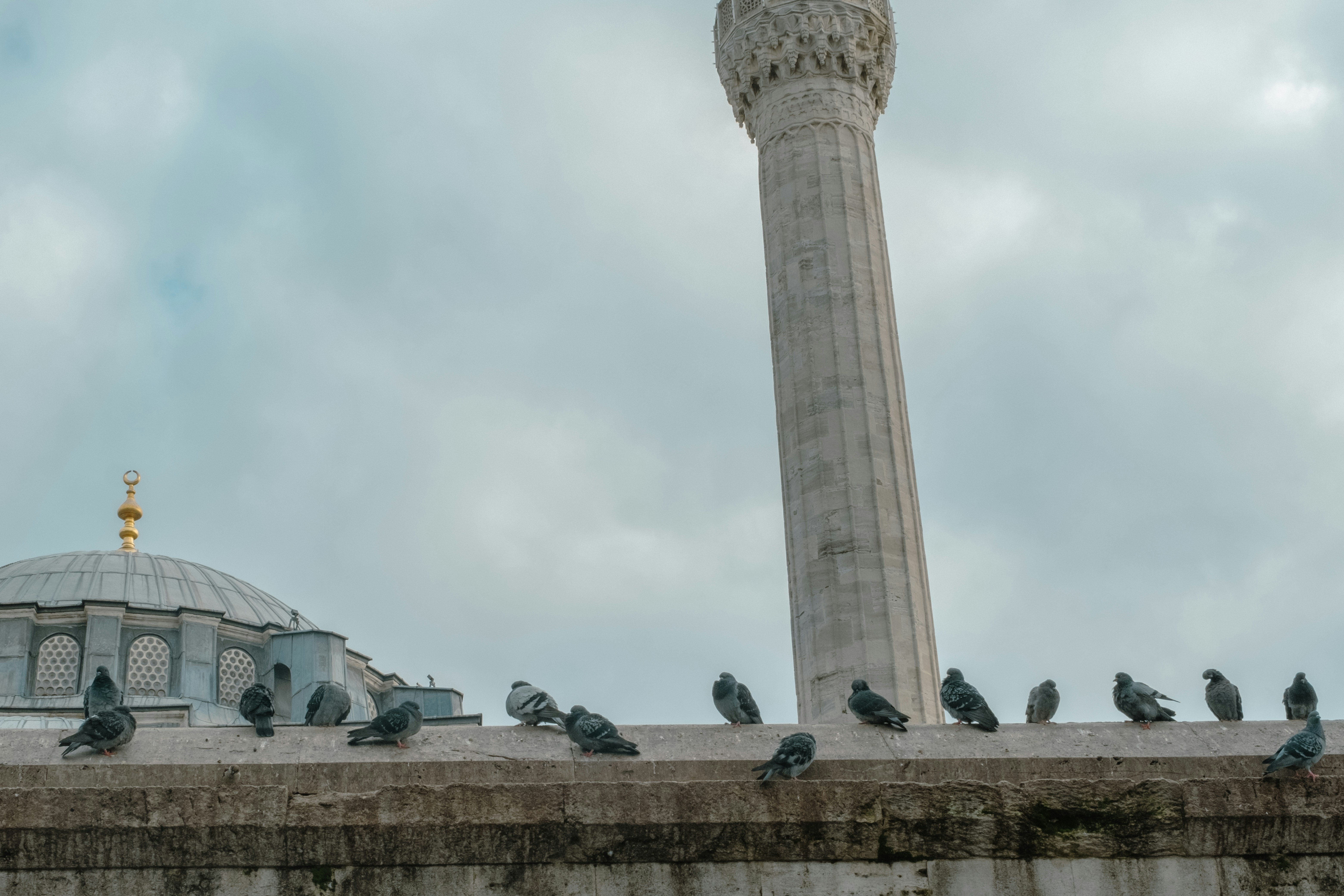 Row of Watchful Pigeons on a Mosque Terrace Beneath a Weathered Minaret
