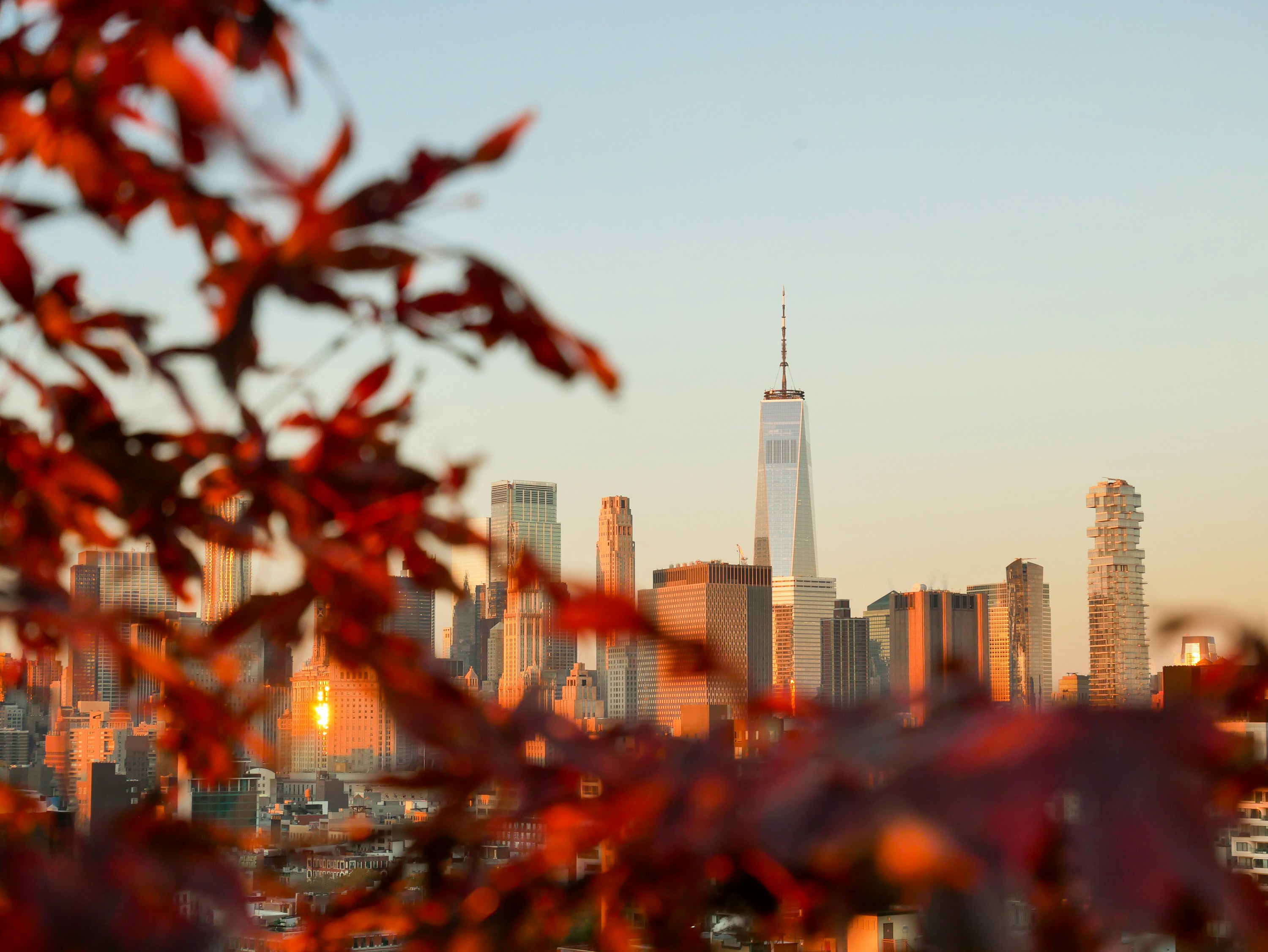 a view of the empire building from the top of a hill