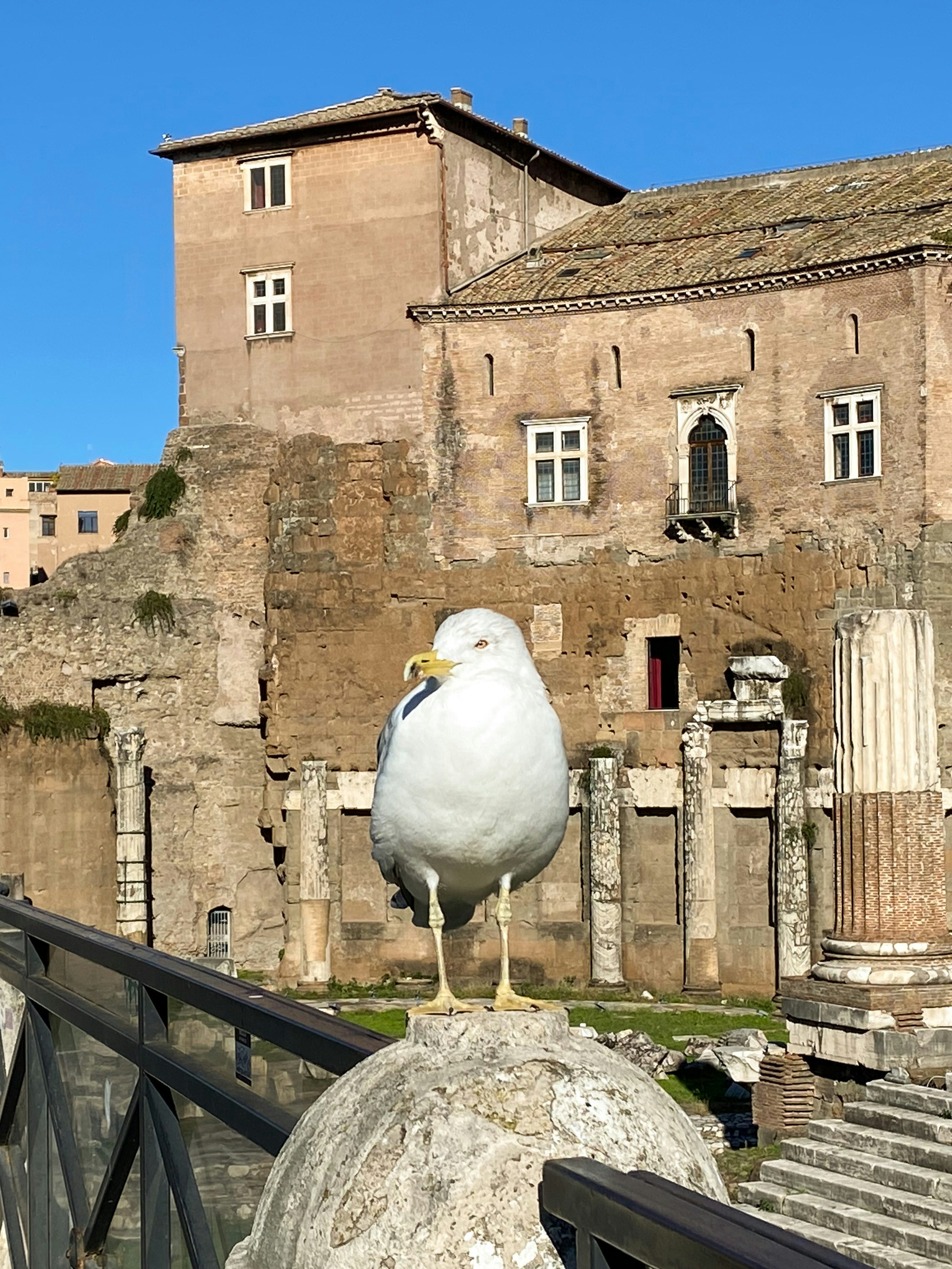 Seagull Sentry on a Weathered Orb Over Roman Ruins Under a Clear Blue Sky