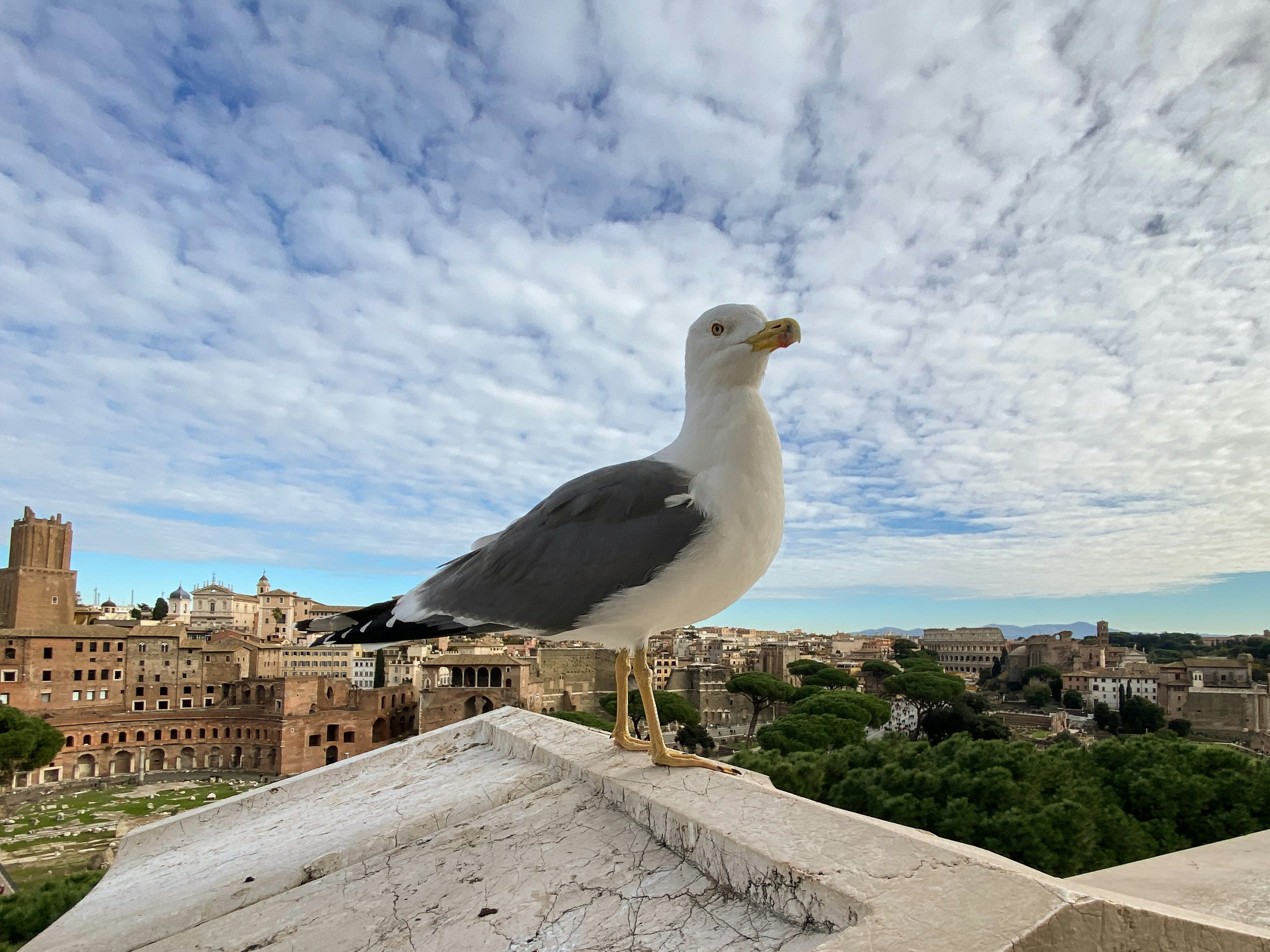 Marble Ledge Watcher Over Ancient Rome
