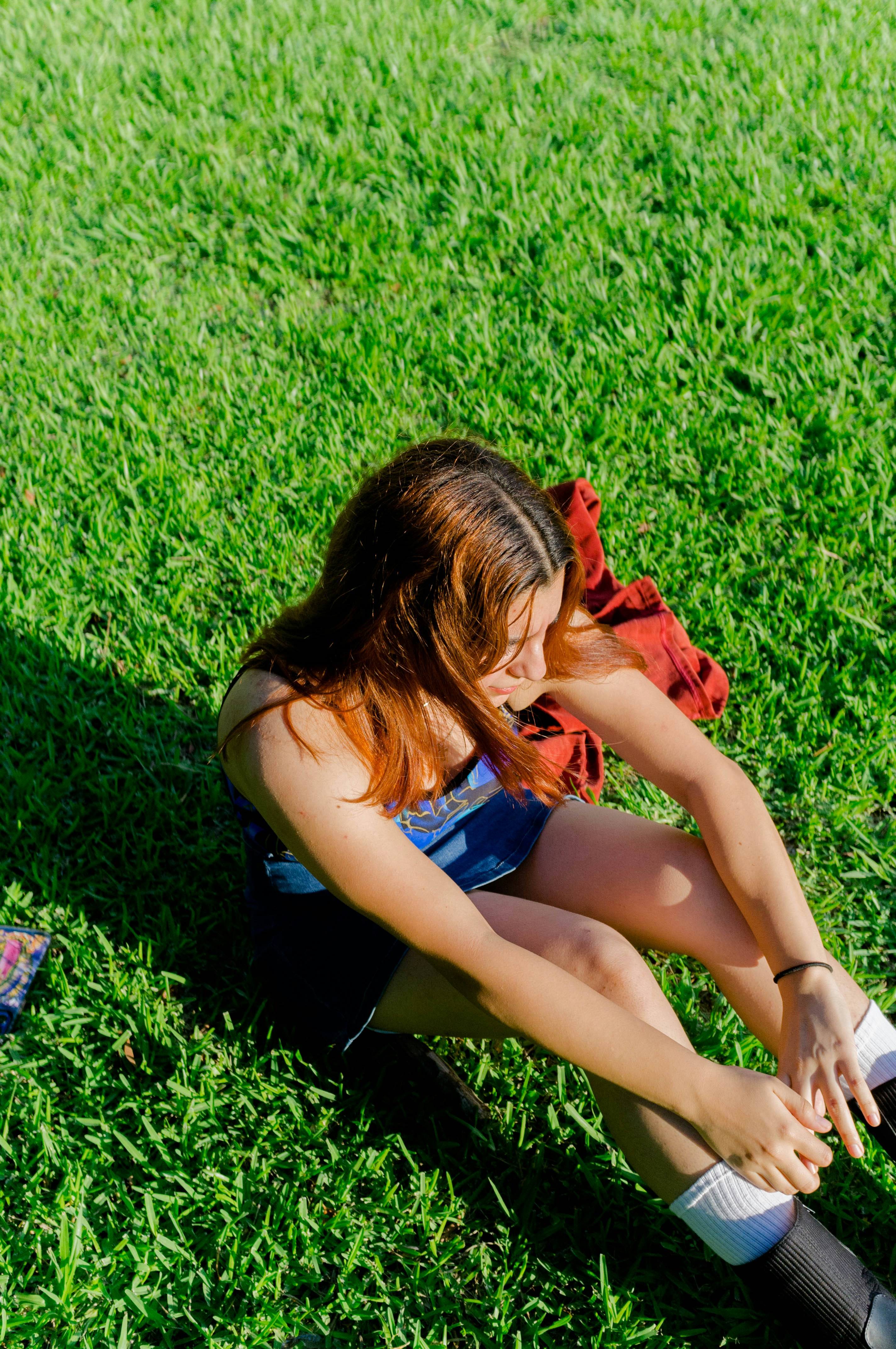 Sunlit Grass Pause: A Quiet Moment in Blue and Red