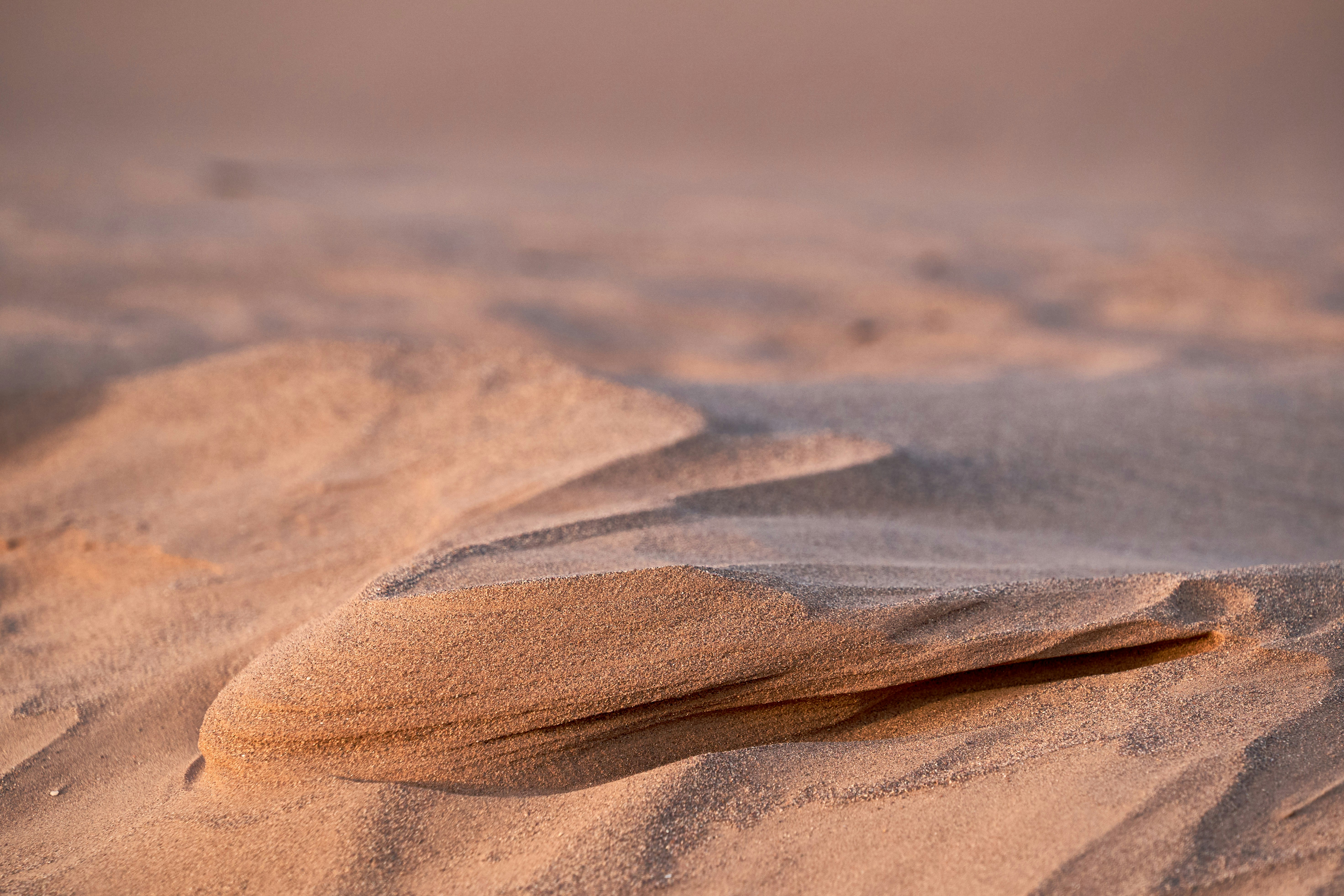 Photo by Wolfgang Hasselmann with Sony Alpha 7 III