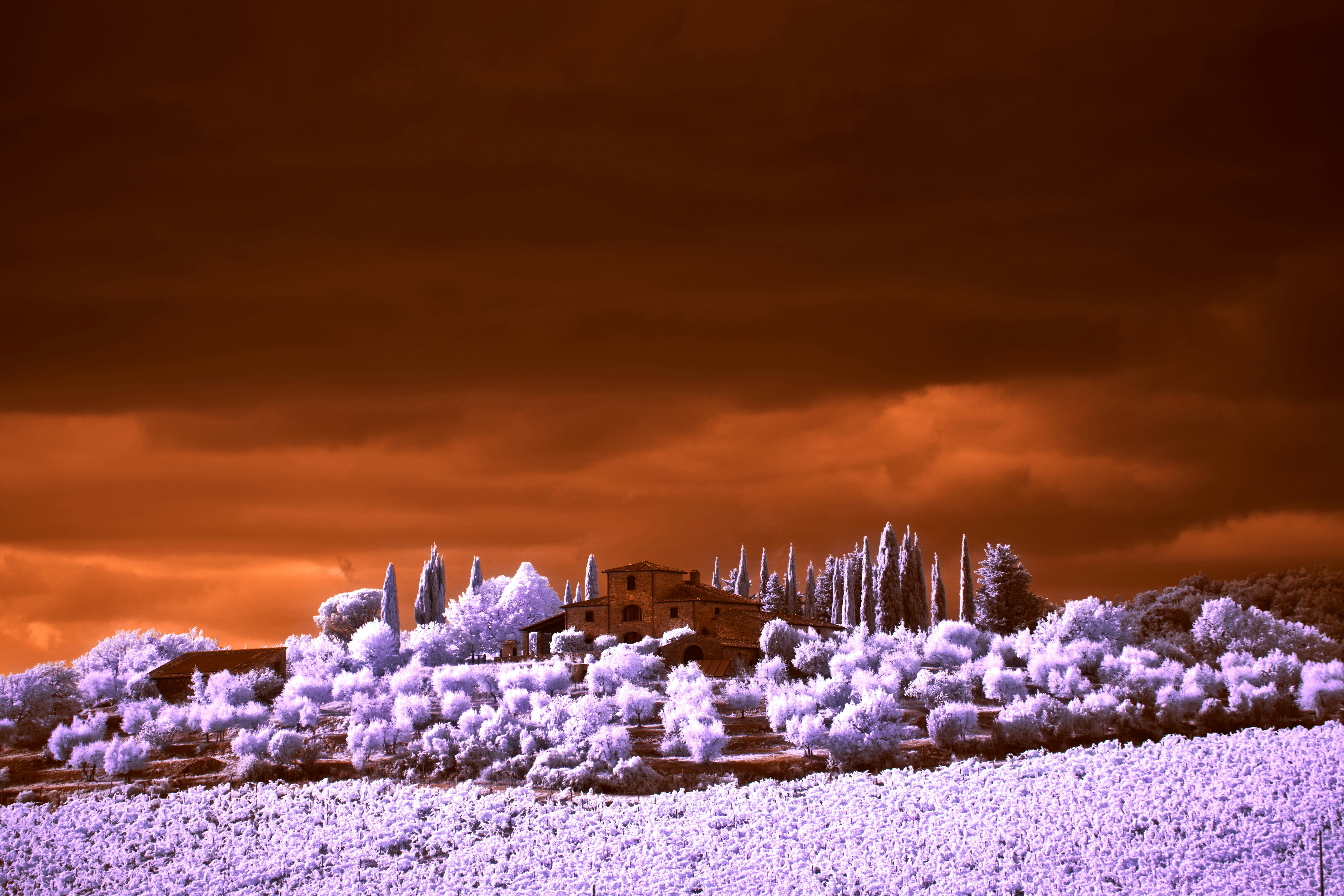 Un grand champ avec une maison au milieu de celui-ci photo – Image ...