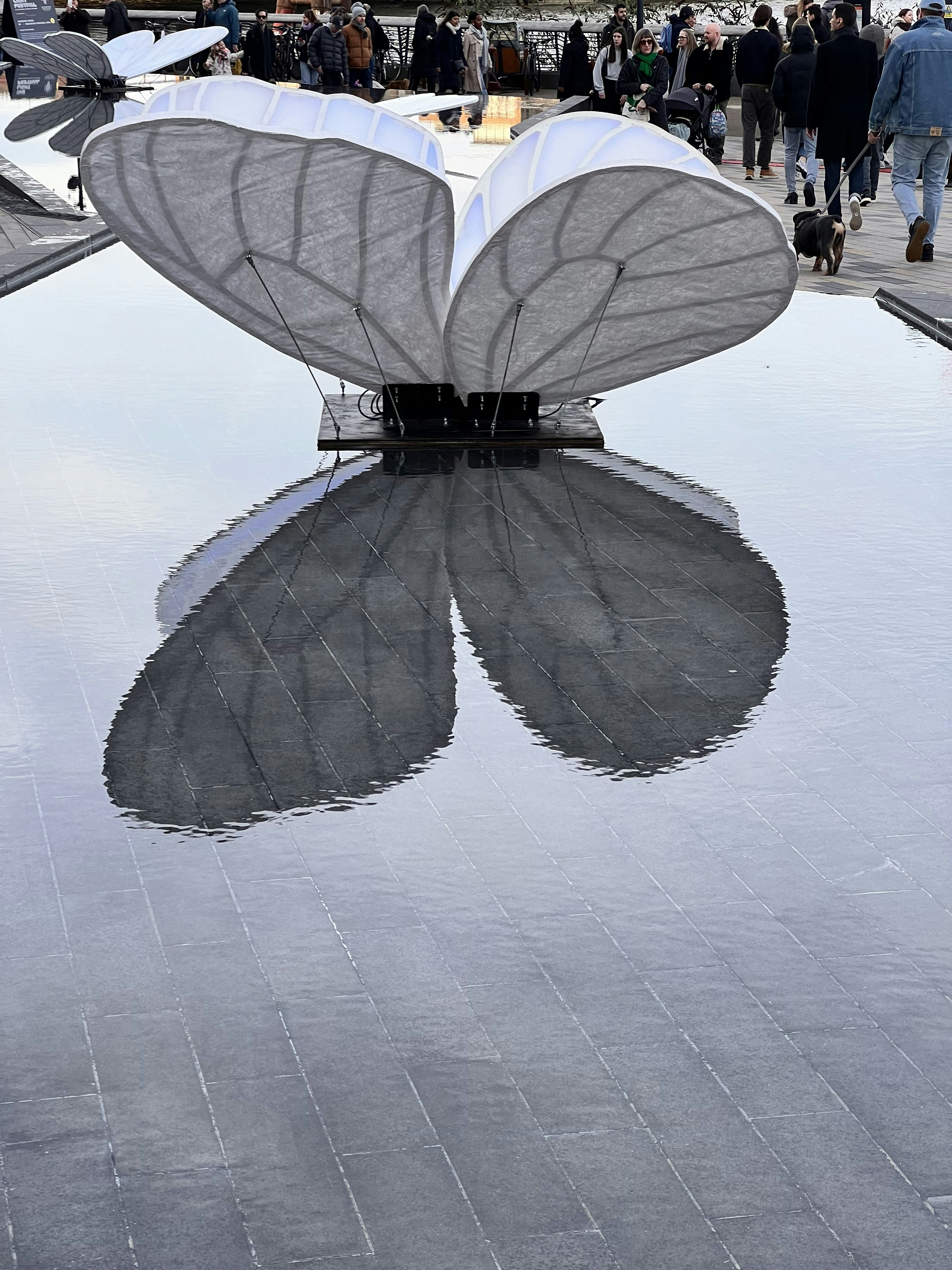 Floating Petal Pavilion: Reflection of a Winged Bloom