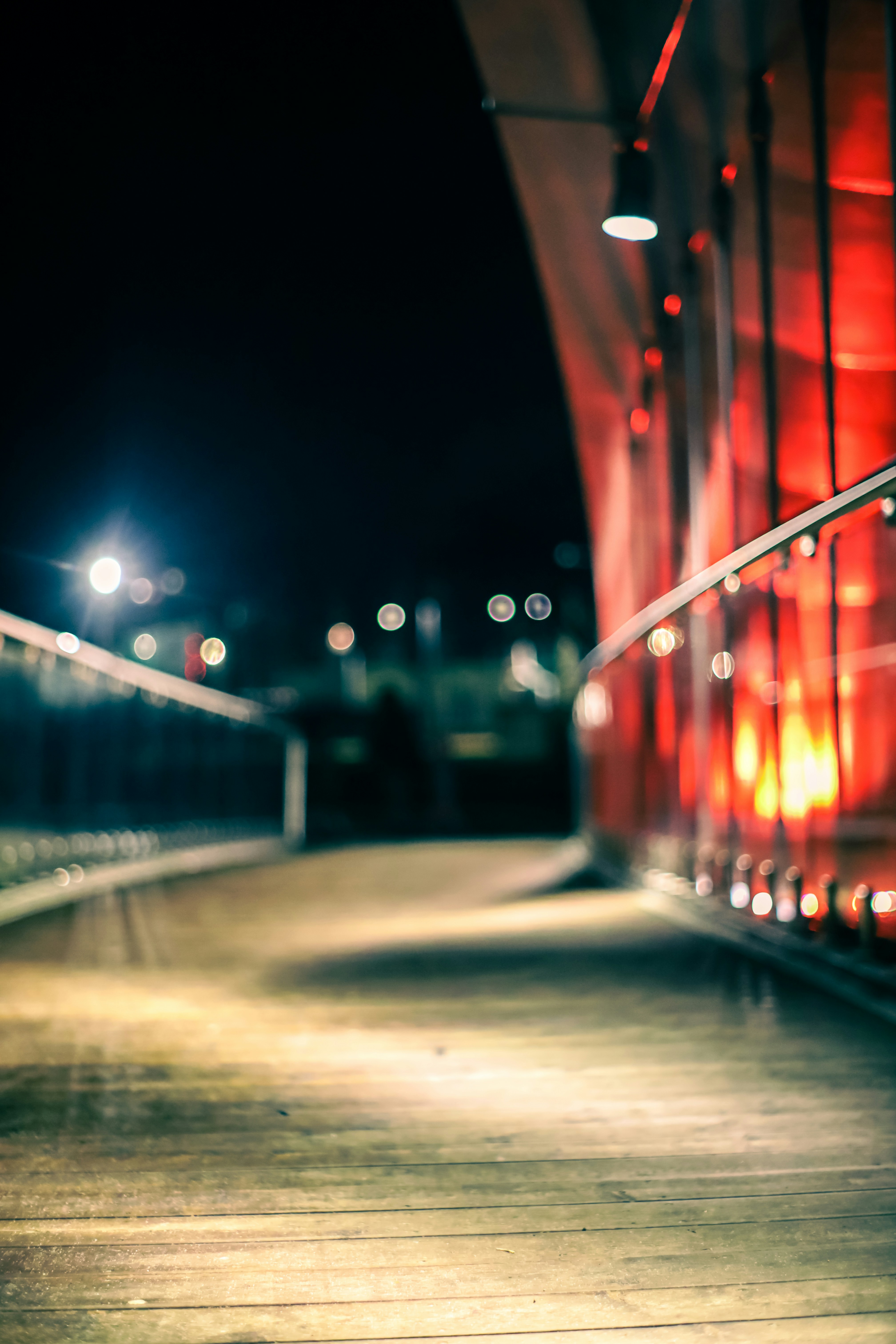 Photo by Magda Kmiecik with Canon EOS RP