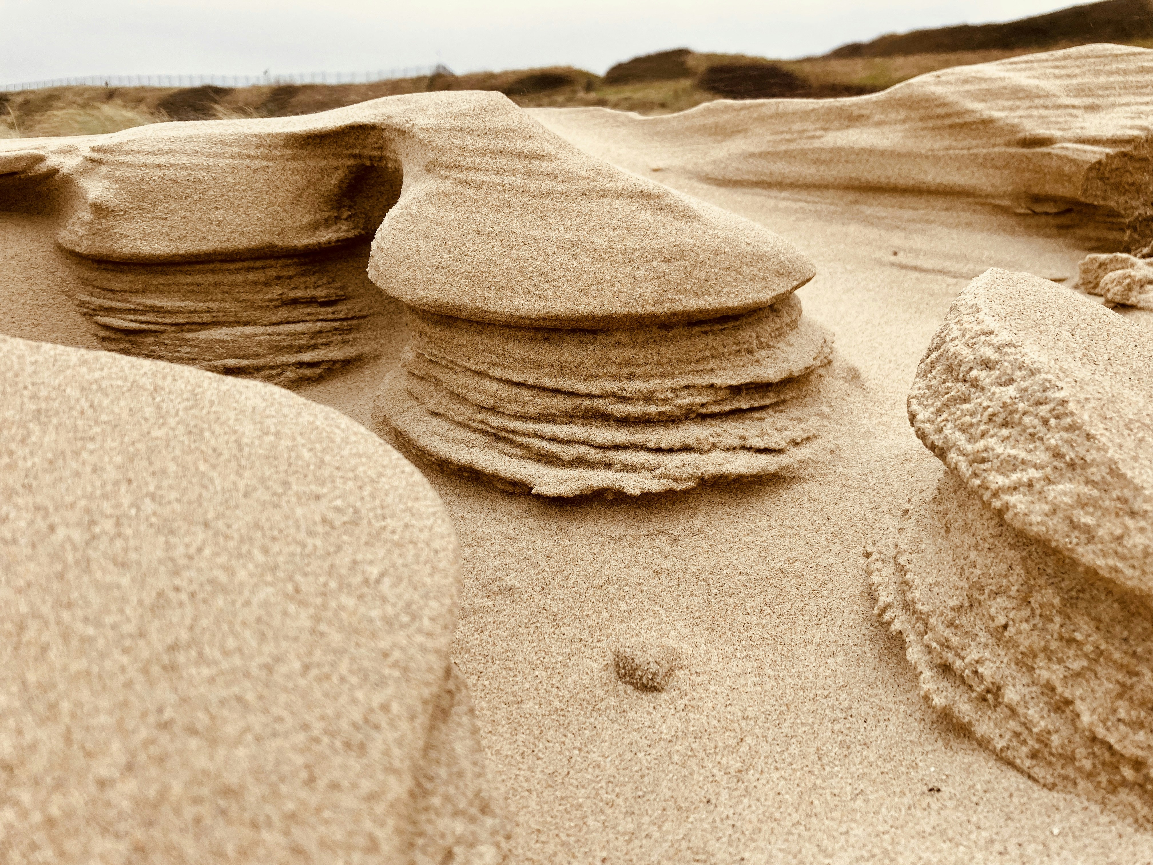 Dune Portrait: Wind-sculpted Sand Ridges in Sepia