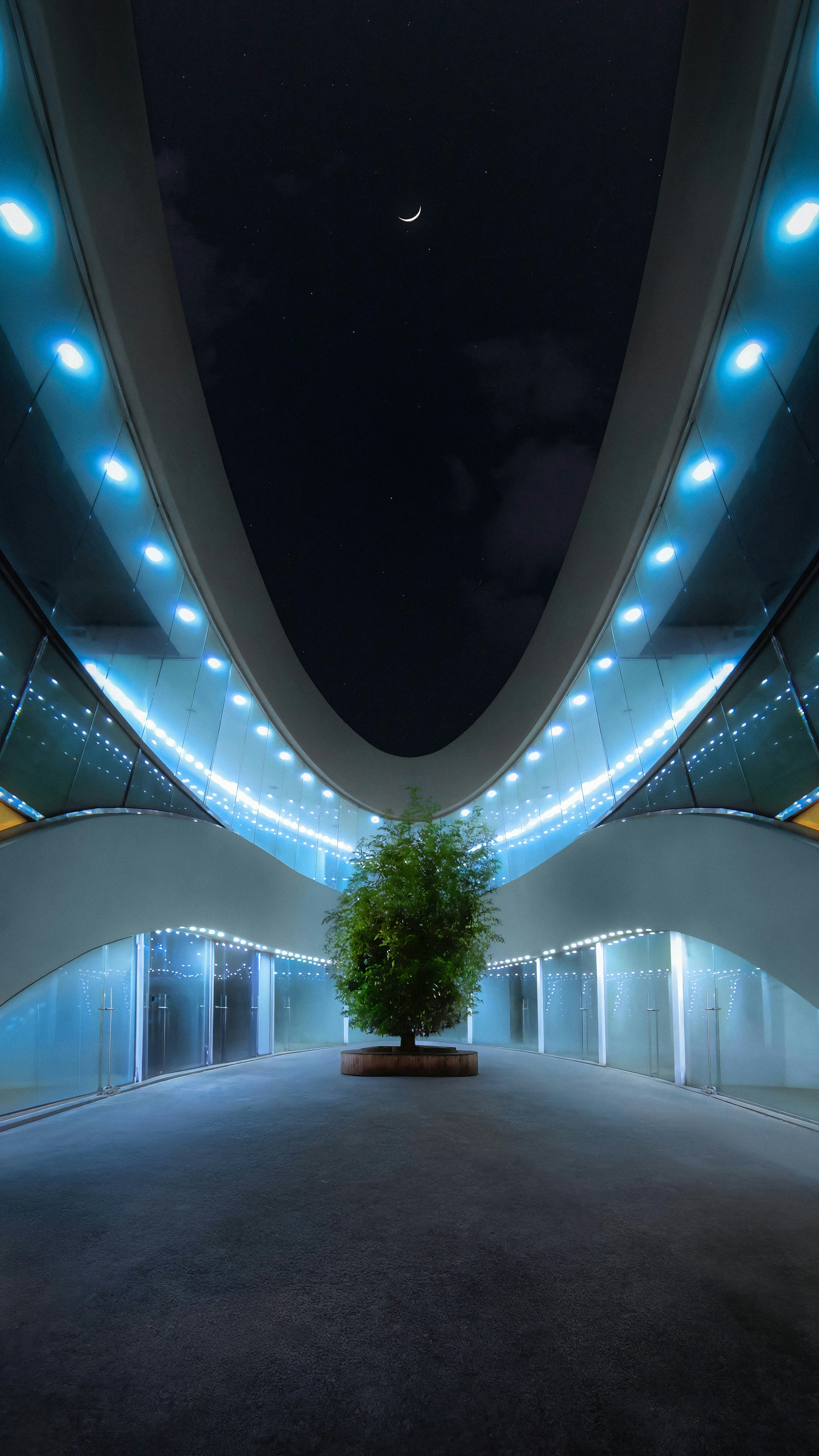Moonlit Skyline Framed by Neon Arches and a Lone Tree