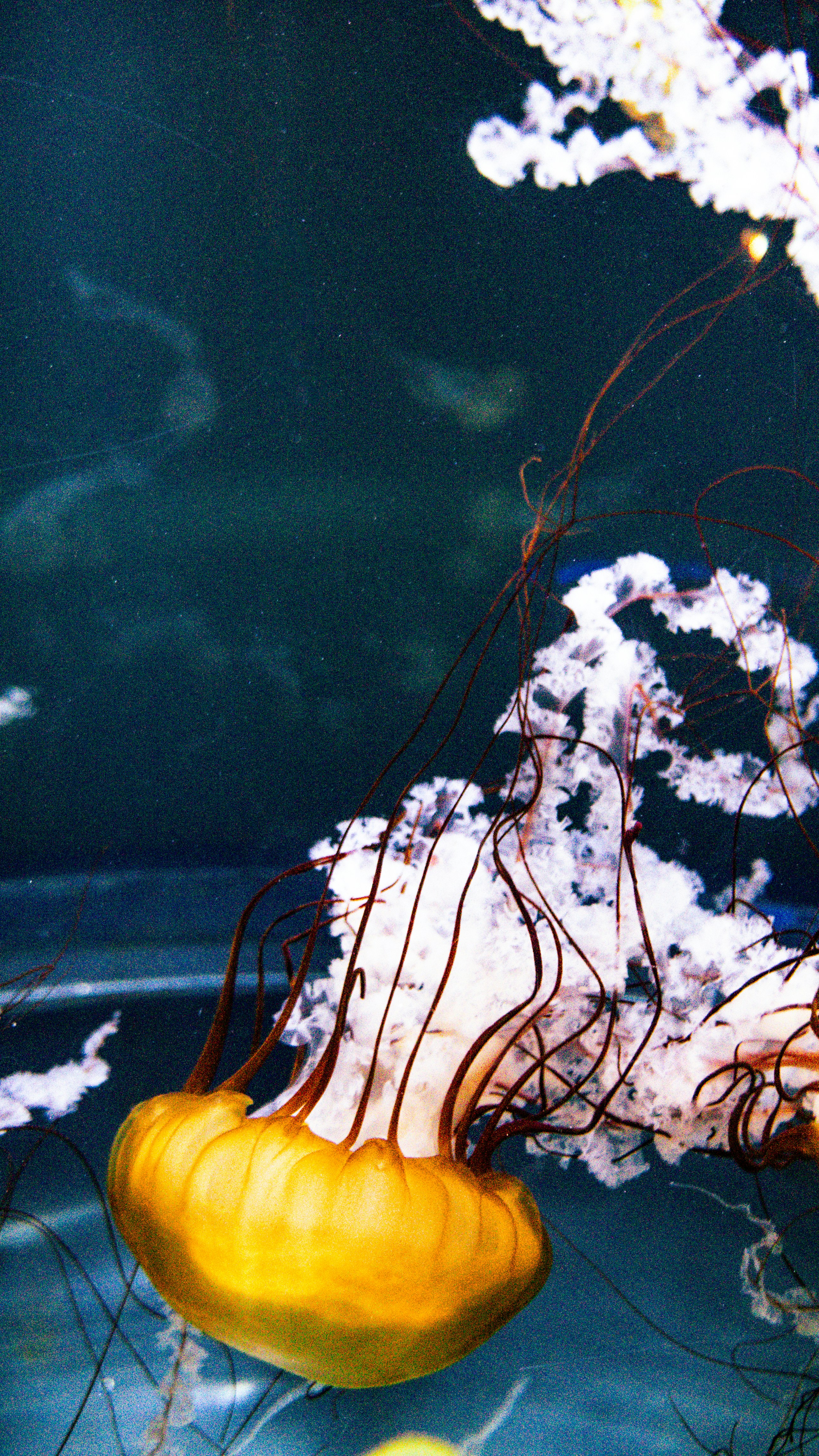 Photo by Alvin David with Panasonic Lumix G7