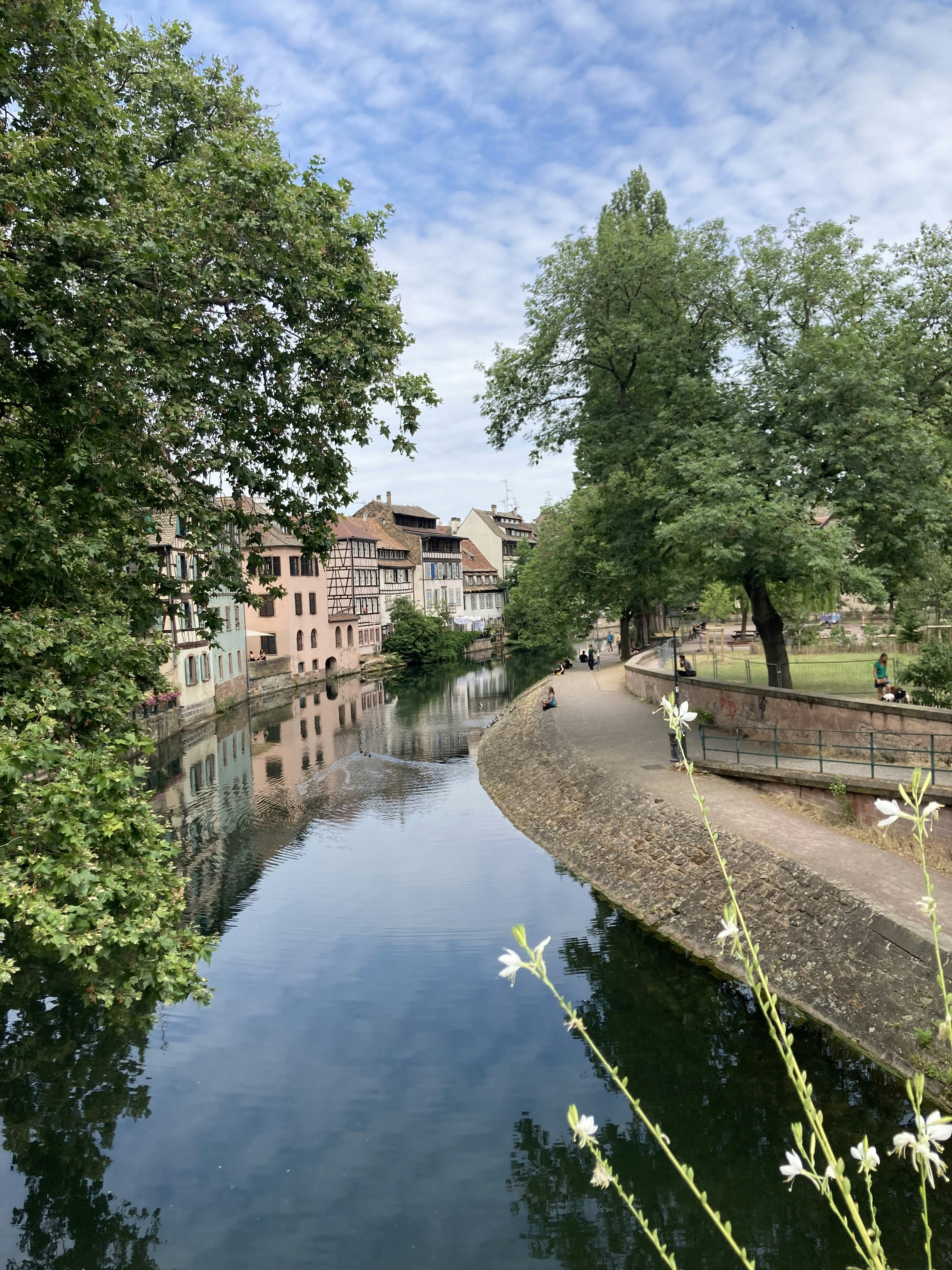Pastel Facades and a River's Curve: A Quiet Canalside Walk
